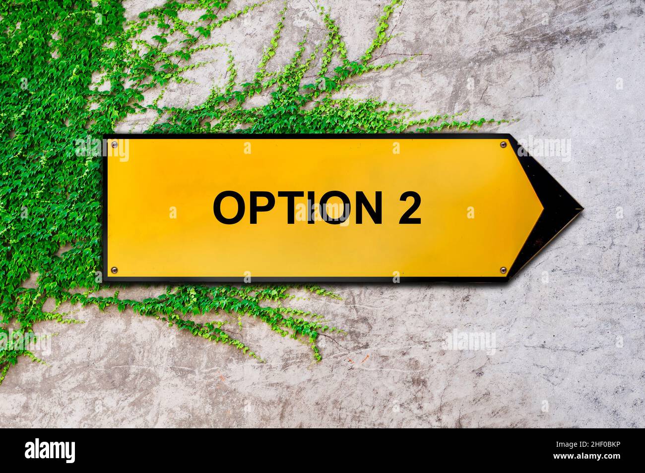 Option on yellow sign hanging on ivy wall Stock Photo - Alamy