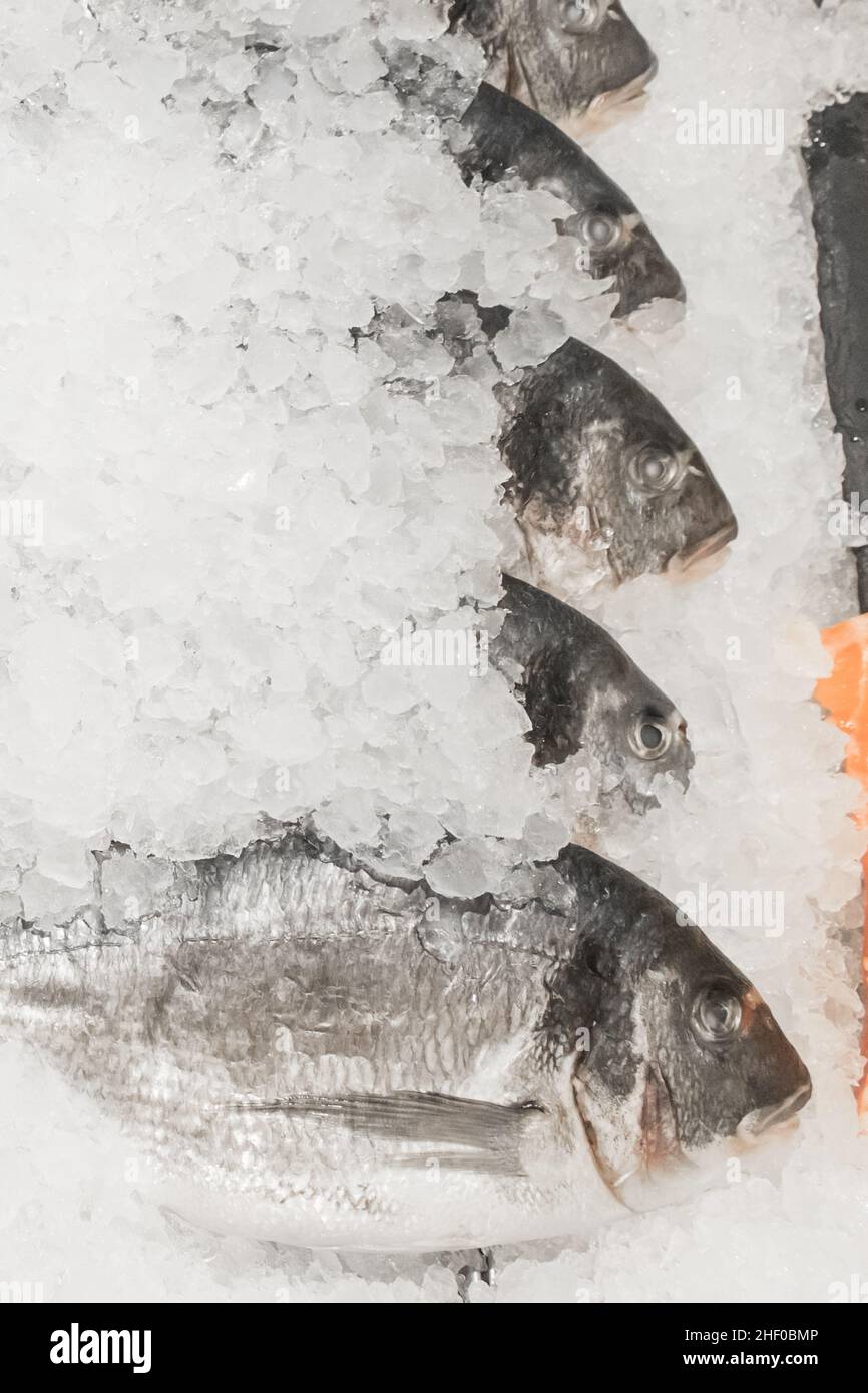 Raw frozen fish cold in ice fresh seafood on the supermarket counter ...