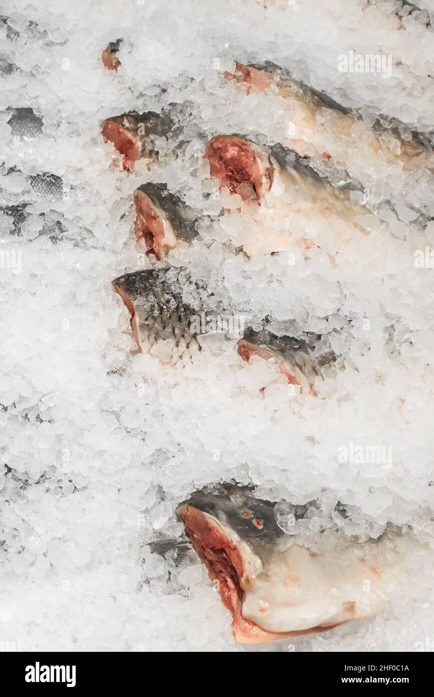 Raw frozen fish cold in ice fresh seafood on the supermarket counter ...