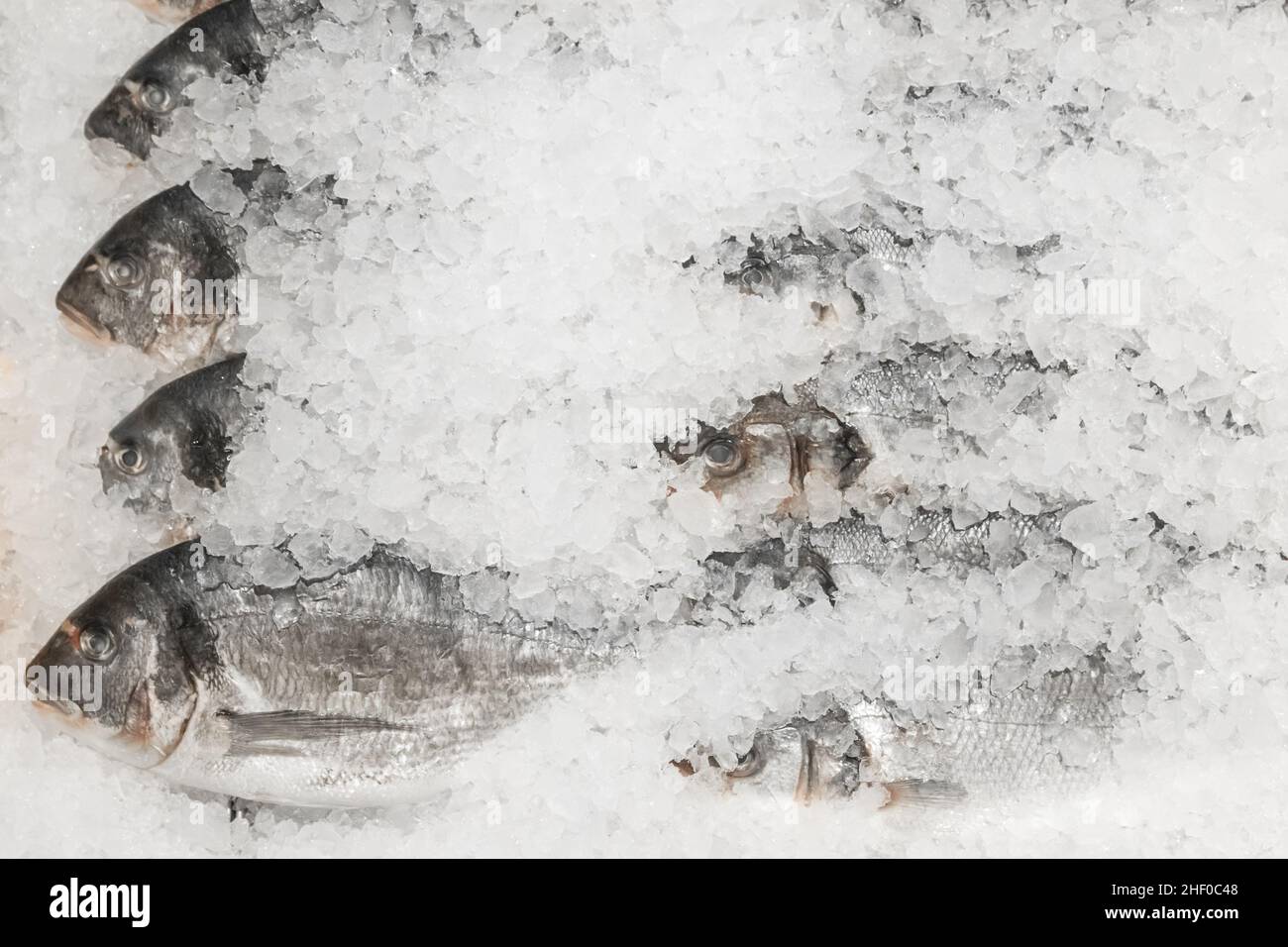 Raw frozen fish cold in ice fresh seafood on the supermarket counter ...
