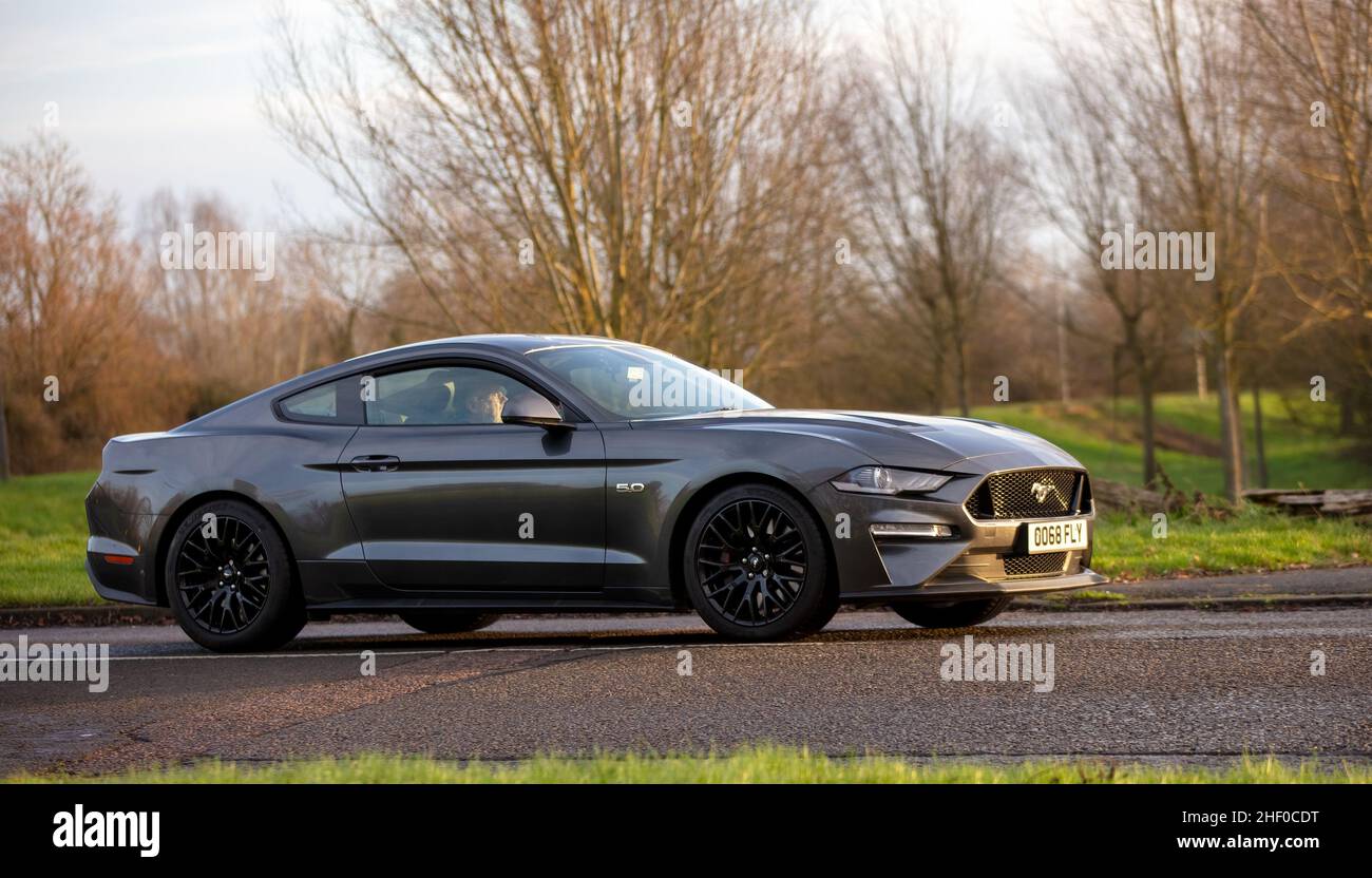 2019 grey Ford Mustang car Stock Photo - Alamy