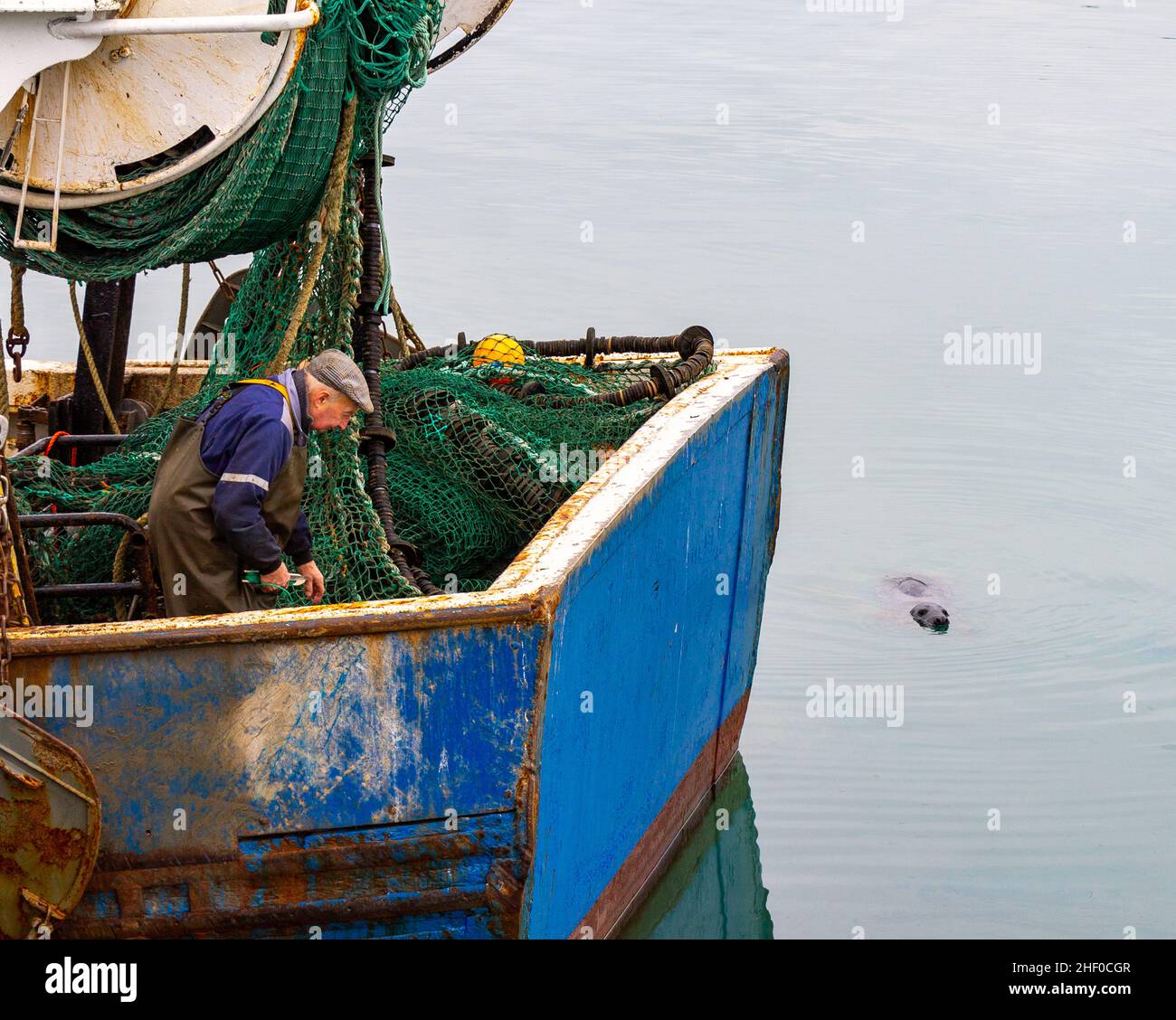 Seal watching fisherman hi-res stock photography and images - Alamy