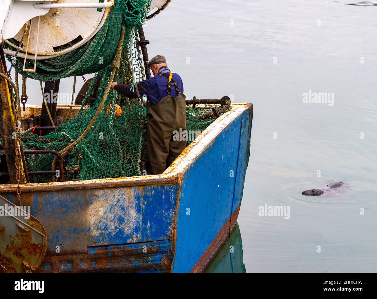 Seal watching fisherman hi-res stock photography and images - Alamy