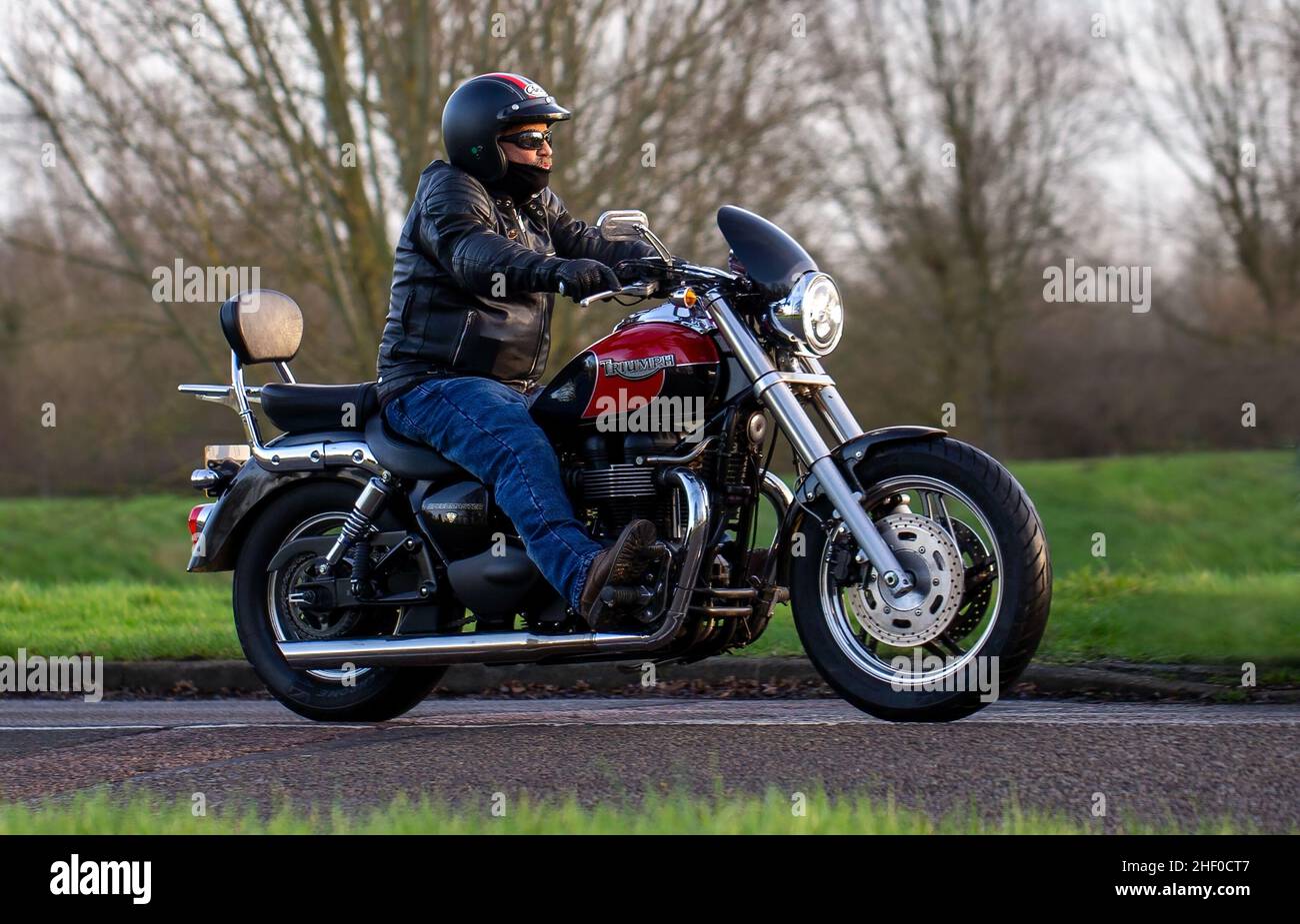 Triumph of winter hi-res stock photography and images - Alamy