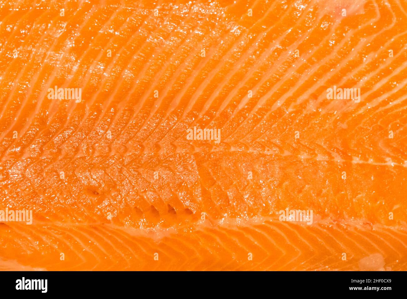 Salmon fillet raw fresh fish seafood texture pattern background Stock ...