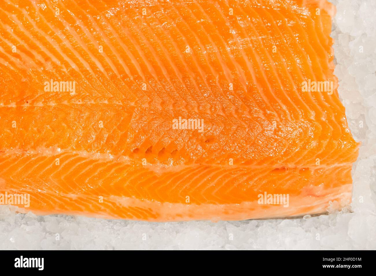 Salmon fillet raw fresh fish seafood texture pattern background Stock ...