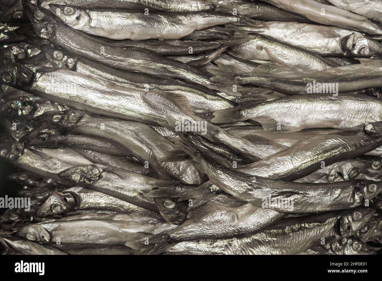Sprat hi-res stock photography and images - Alamy