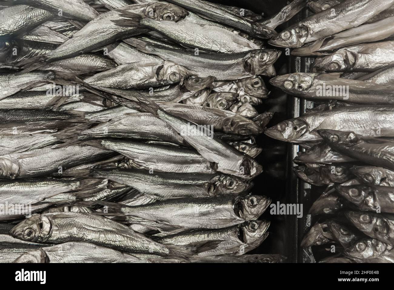 Fish small herring sprat seafood fresh background Stock Photo - Alamy