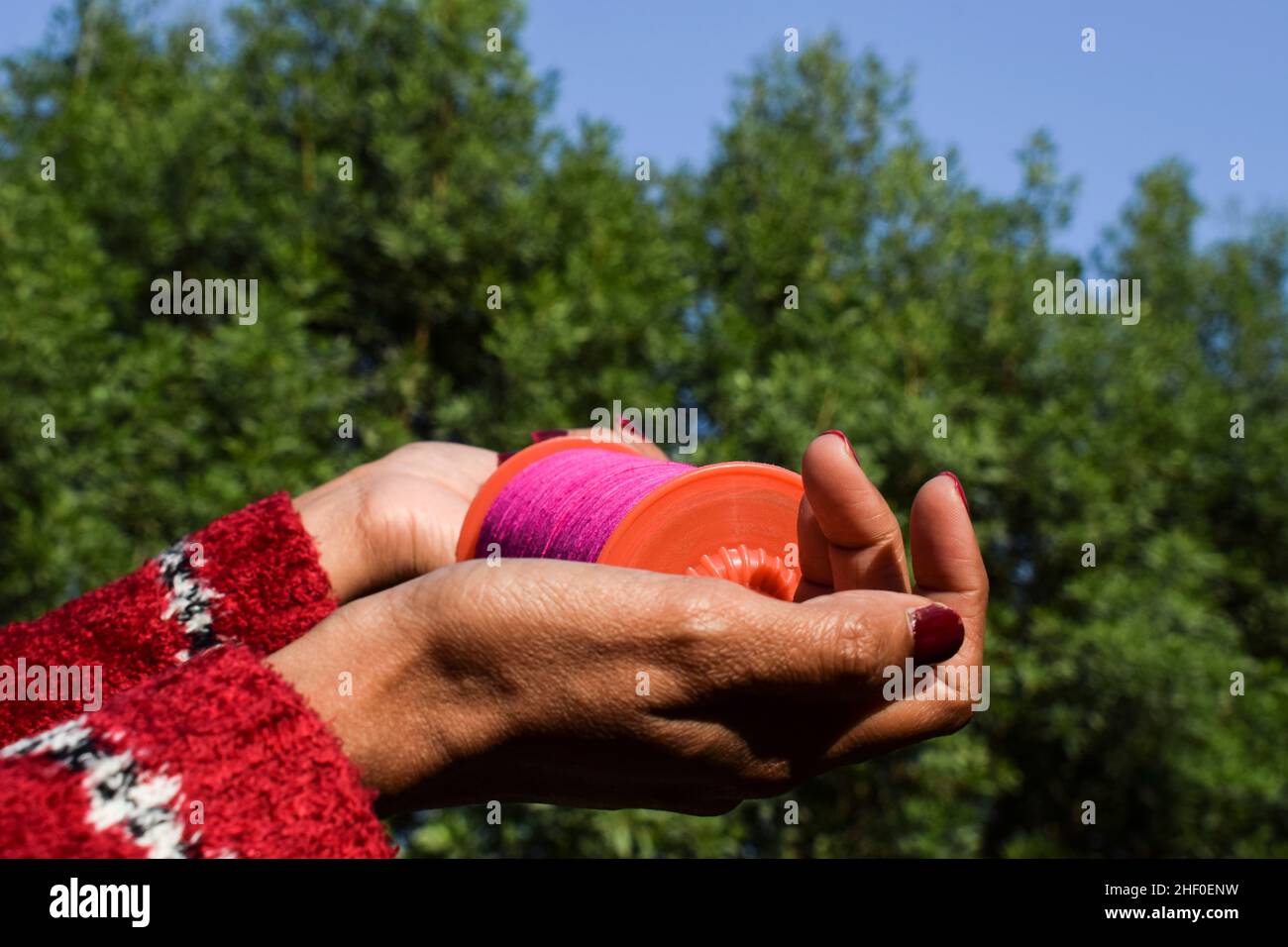 Female holding Kite phirki Manjha or kite spool thread reel in hand and ...