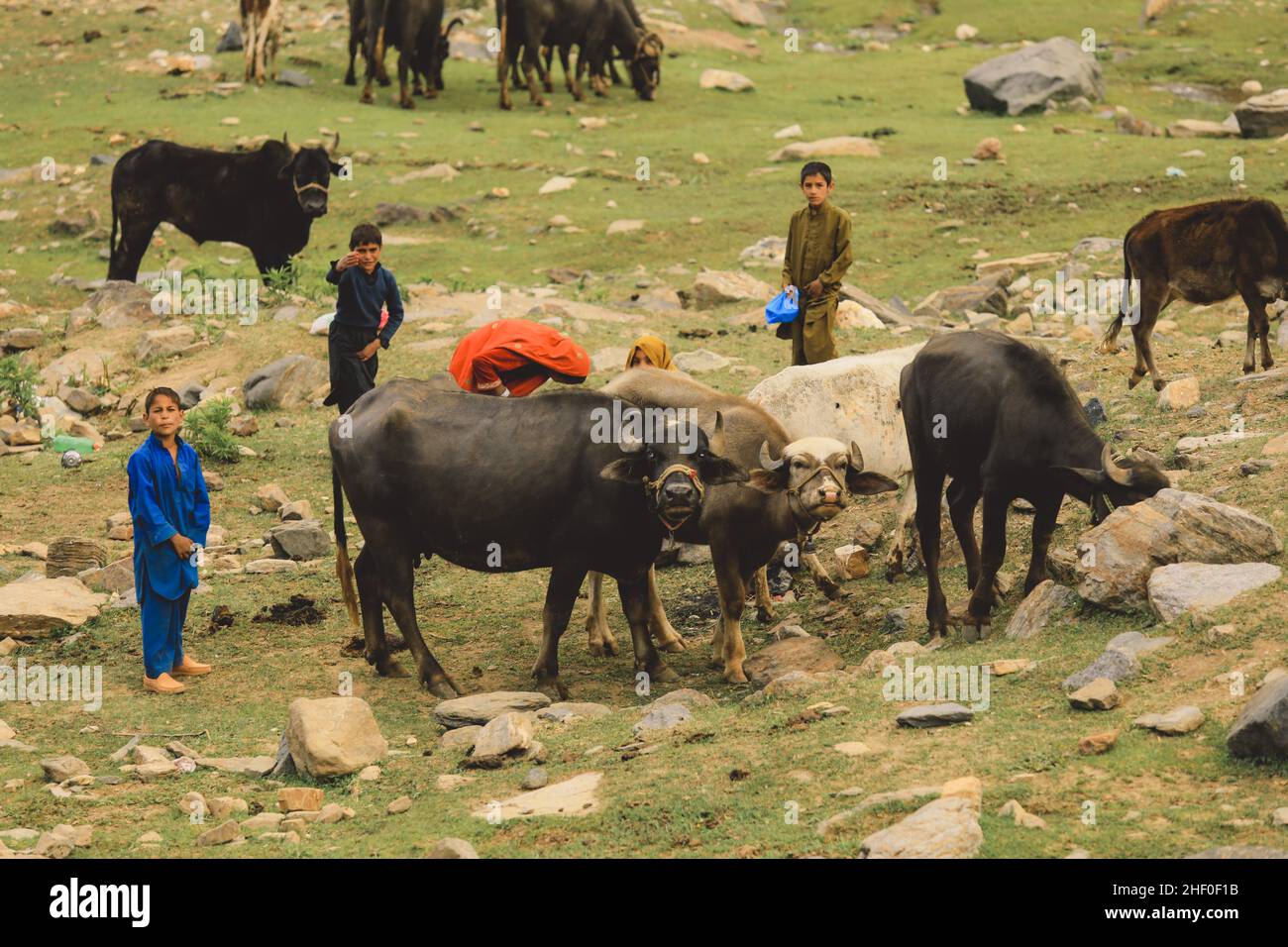 Gilgit Baltistan, Pakistan - June 08, 2020: Poor Children with the ...
