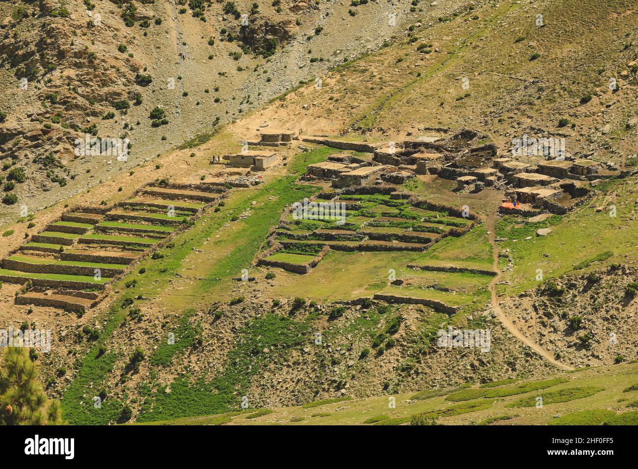 Traditional Houses on the Green Forest Rocks in Pakistani Mountains ...