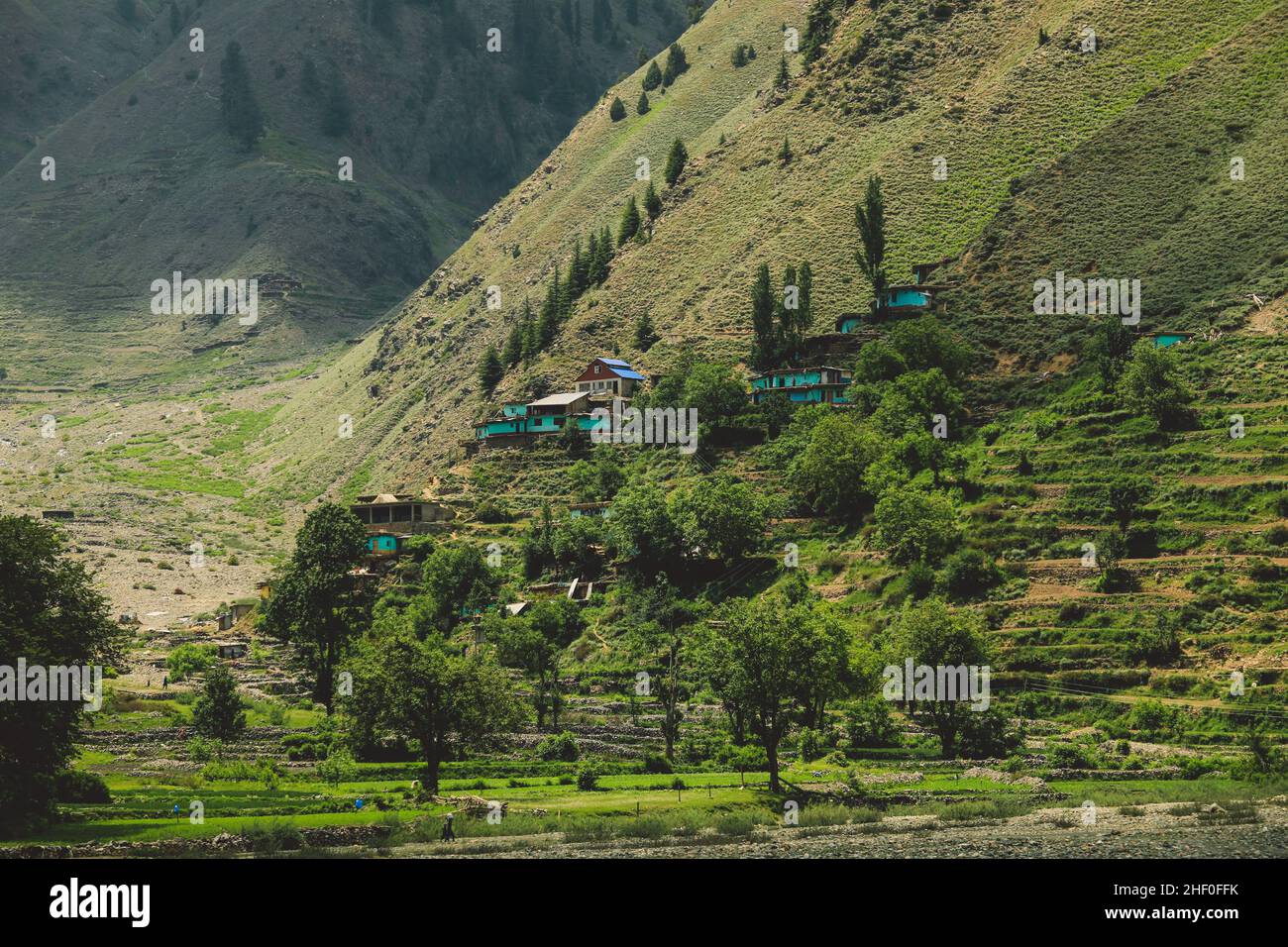 Traditional Houses on the Green Forest Rocks in Pakistani Mountains ...