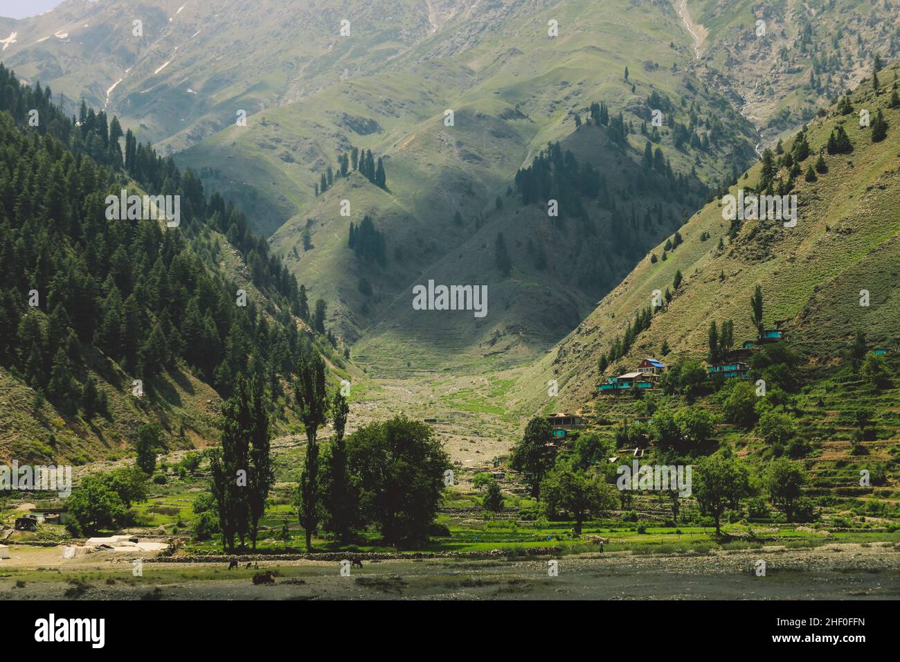 Traditional Houses on the Green Forest Rocks in Pakistani Mountains ...