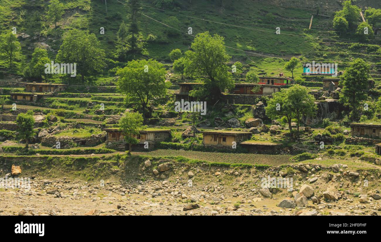 Traditional Houses on the Green Forest Rocks in Pakistani Mountains ...