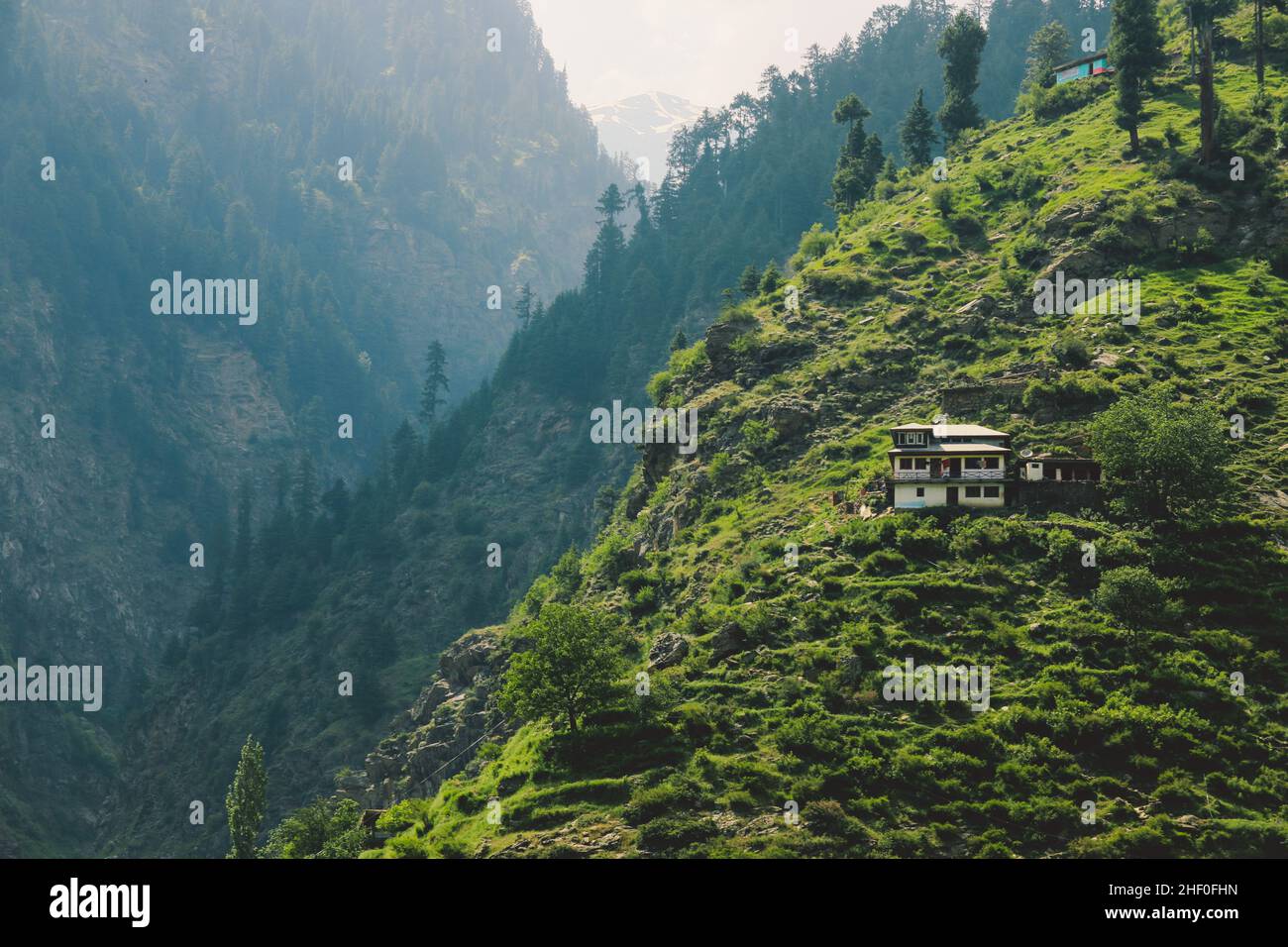 Traditional Houses on the Green Forest Rocks in Pakistani Mountains ...