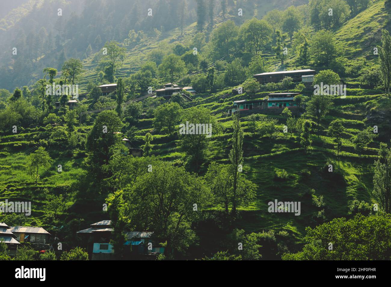 Traditional Houses on the Green Forest Rocks in Pakistani Mountains ...