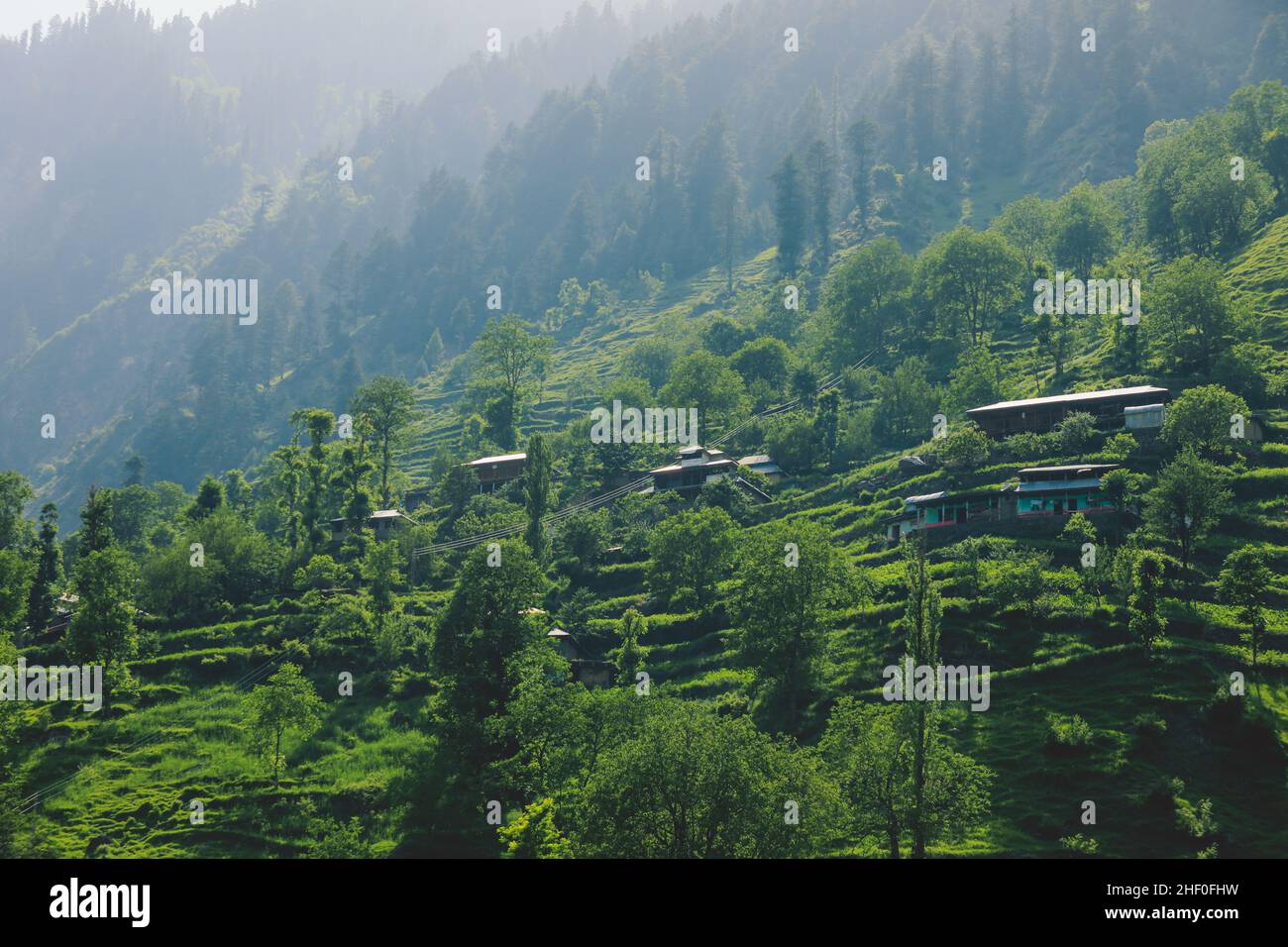 Traditional Houses on the Green Forest Rocks in Pakistani Mountains ...