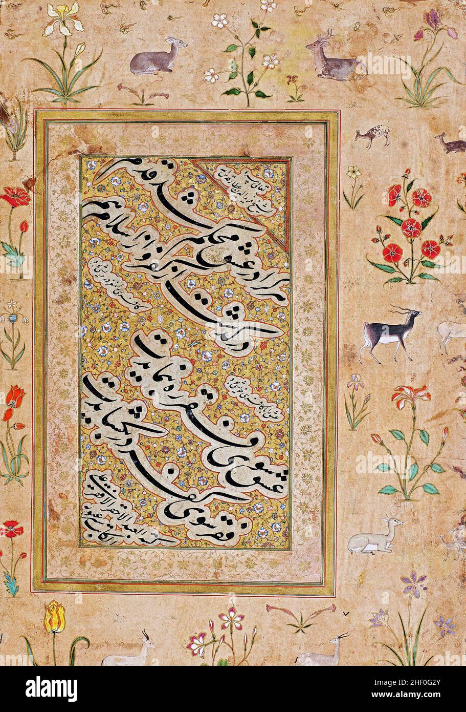 Late shah hi-res stock photography and images - Alamy