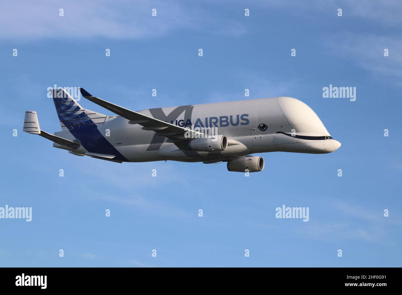 Airbus Beluga XL is a large transport aircraft based on the airbus A300 ...