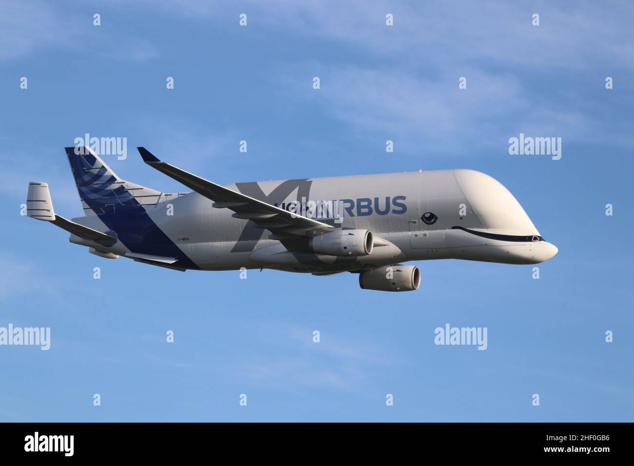 Airbus Beluga XL is a large transport aircraft based on the airbus A300 ...