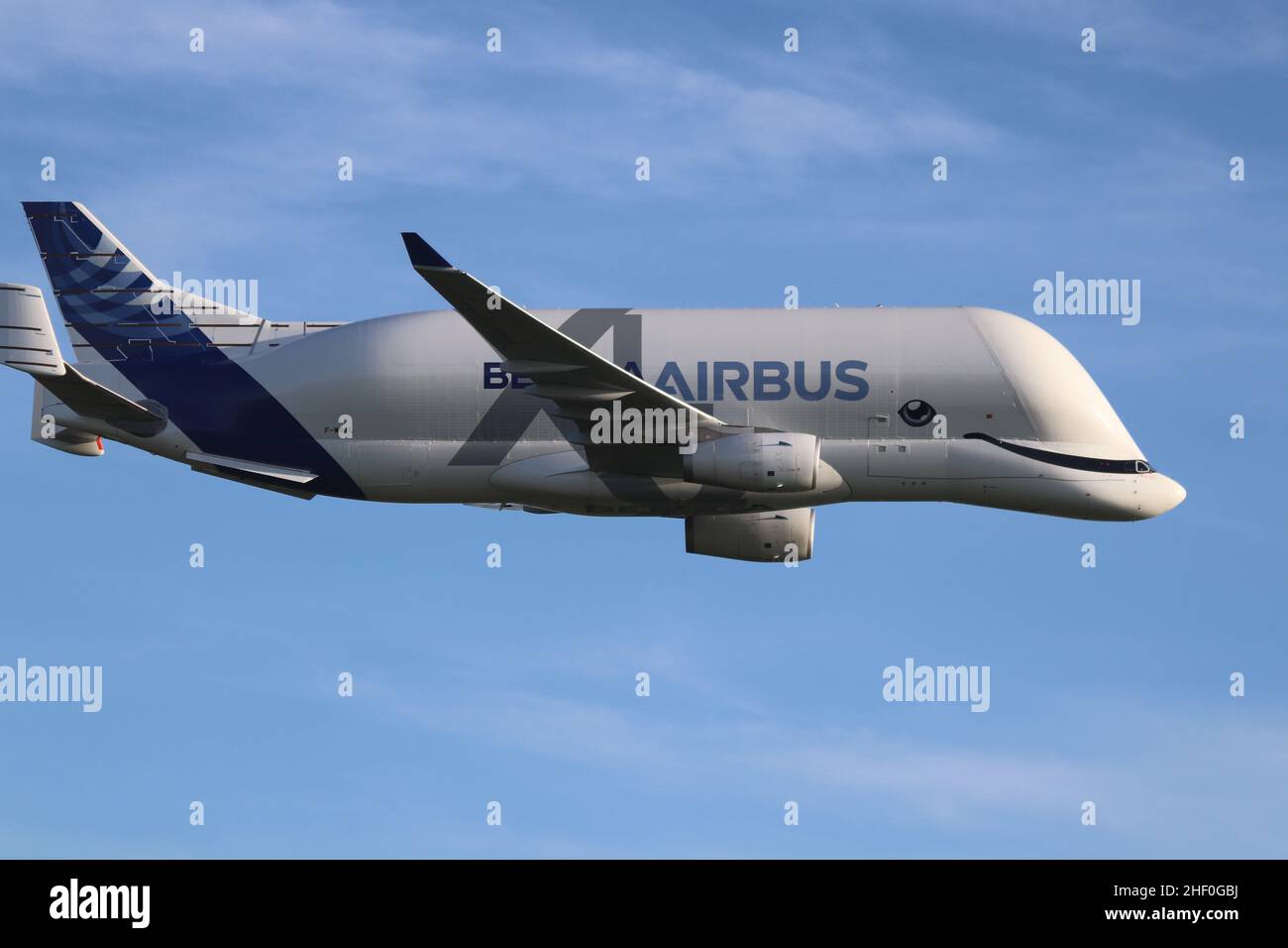 Airbus Beluga XL is a large transport aircraft based on the airbus A300 ...