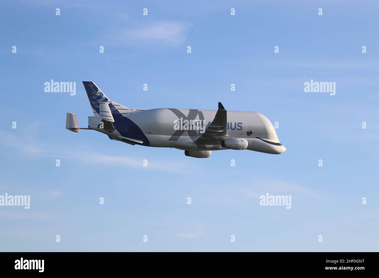 Airbus Beluga XL is a large transport aircraft based on the airbus A300 ...
