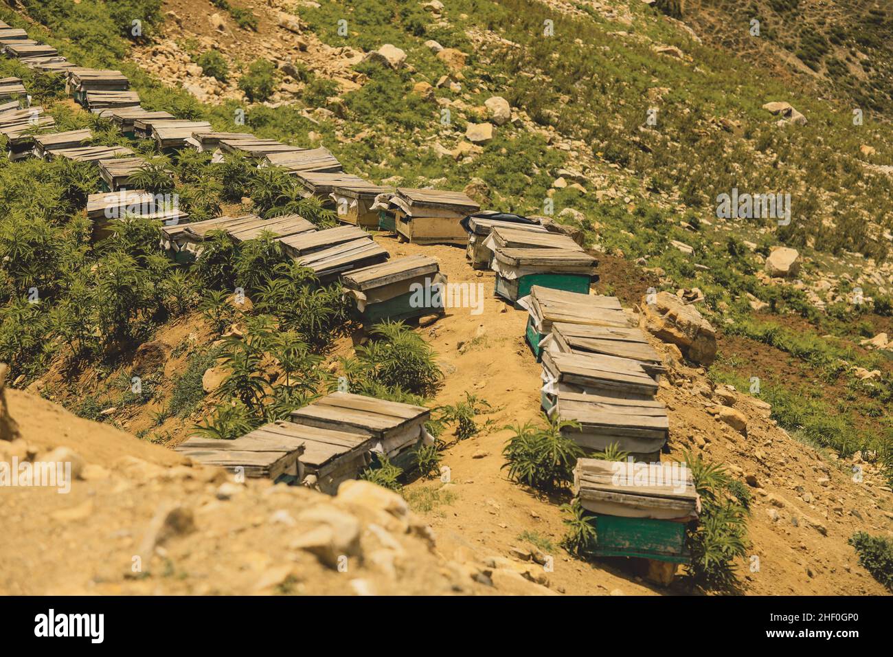 Wooden Bee Houses in Gilgit Baltistan Highlands among Spectacular ...