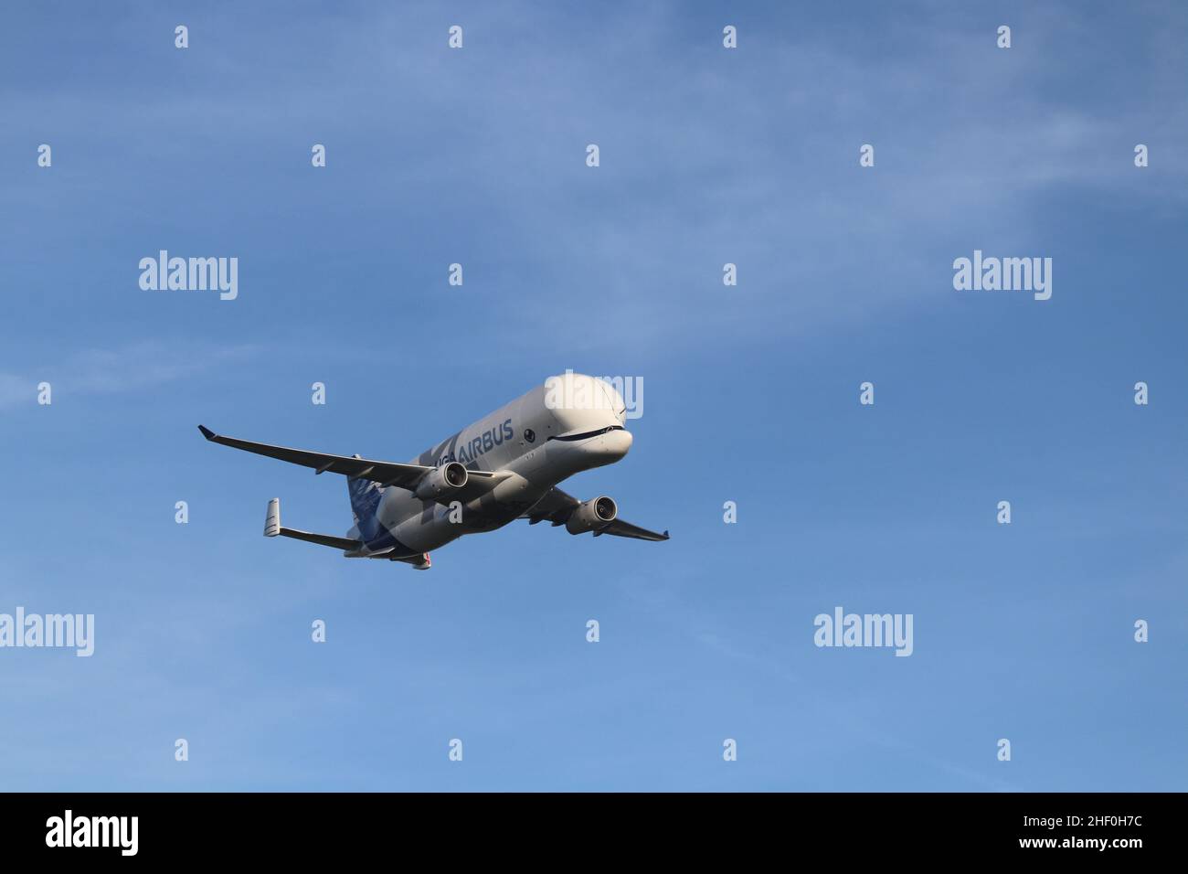 Airbus Beluga XL is a large transport aircraft based on the airbus A300 ...
