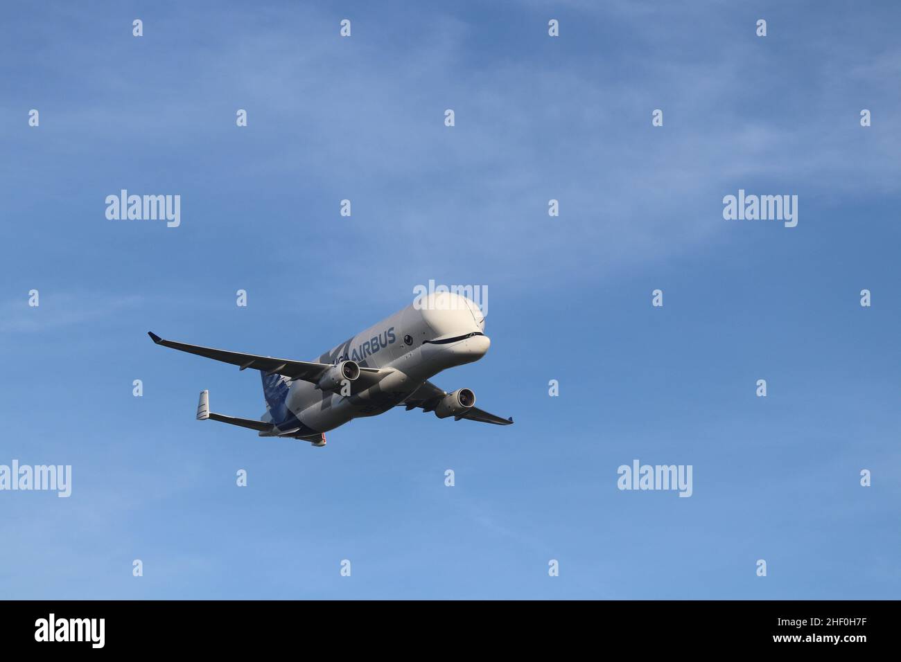 Airbus Beluga XL is a large transport aircraft based on the airbus A300 ...