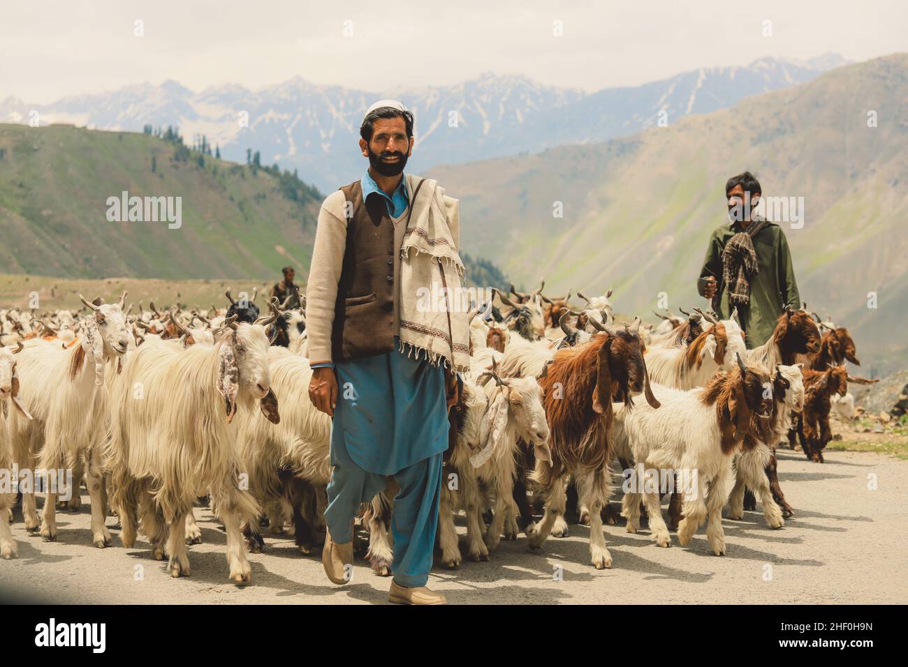 Gilgit Baltistan, Pakistan - July 08, 2021: Pakistan Shepherds in ...