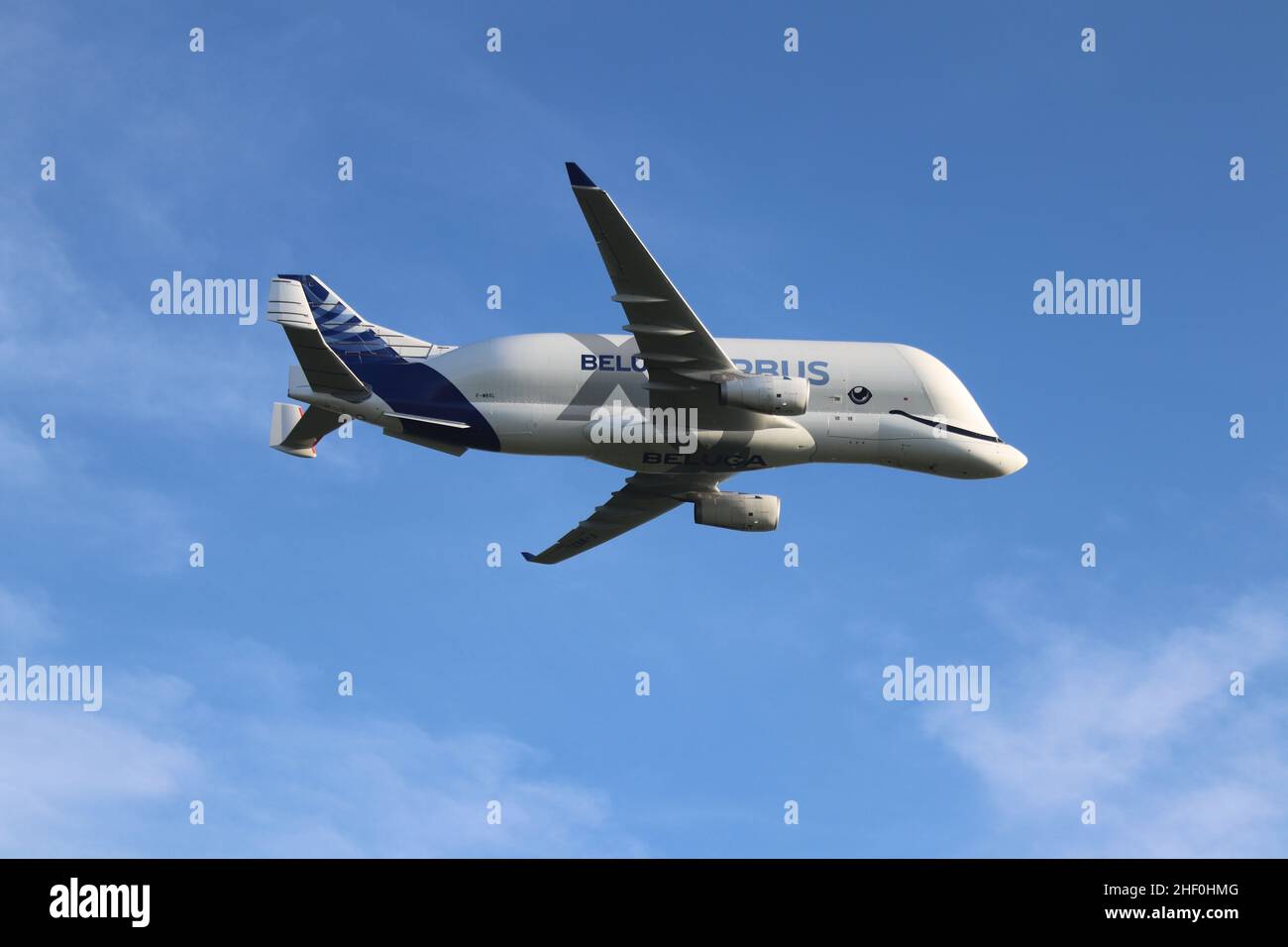 Airbus Beluga XL is a large transport aircraft based on the airbus A300 ...