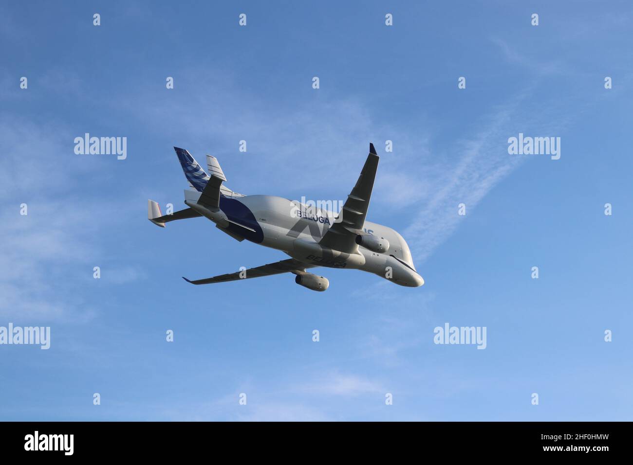 Airbus Beluga XL is a large transport aircraft based on the airbus A300 ...