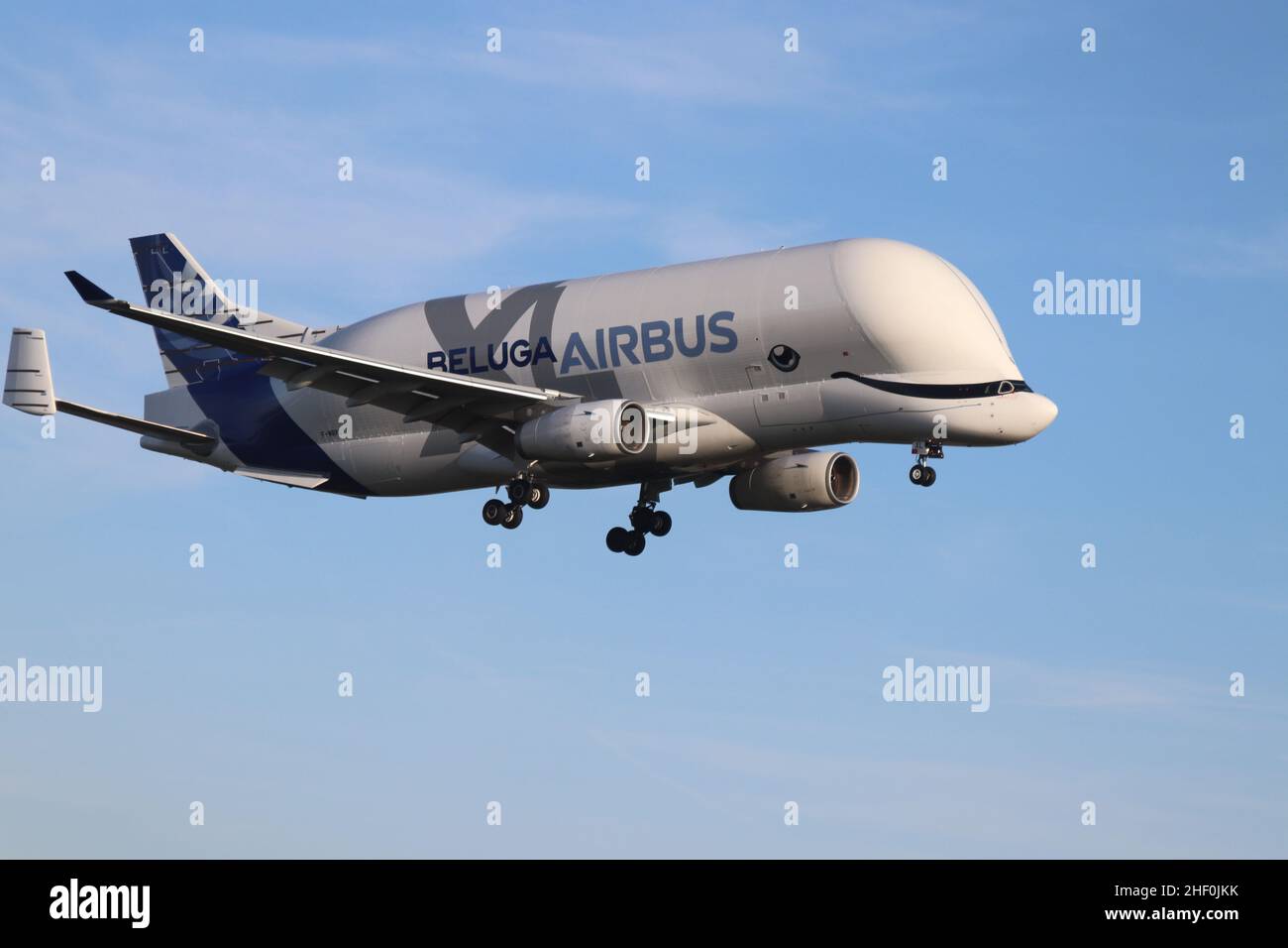Airbus Beluga XL is a large transport aircraft based on the airbus A300 ...