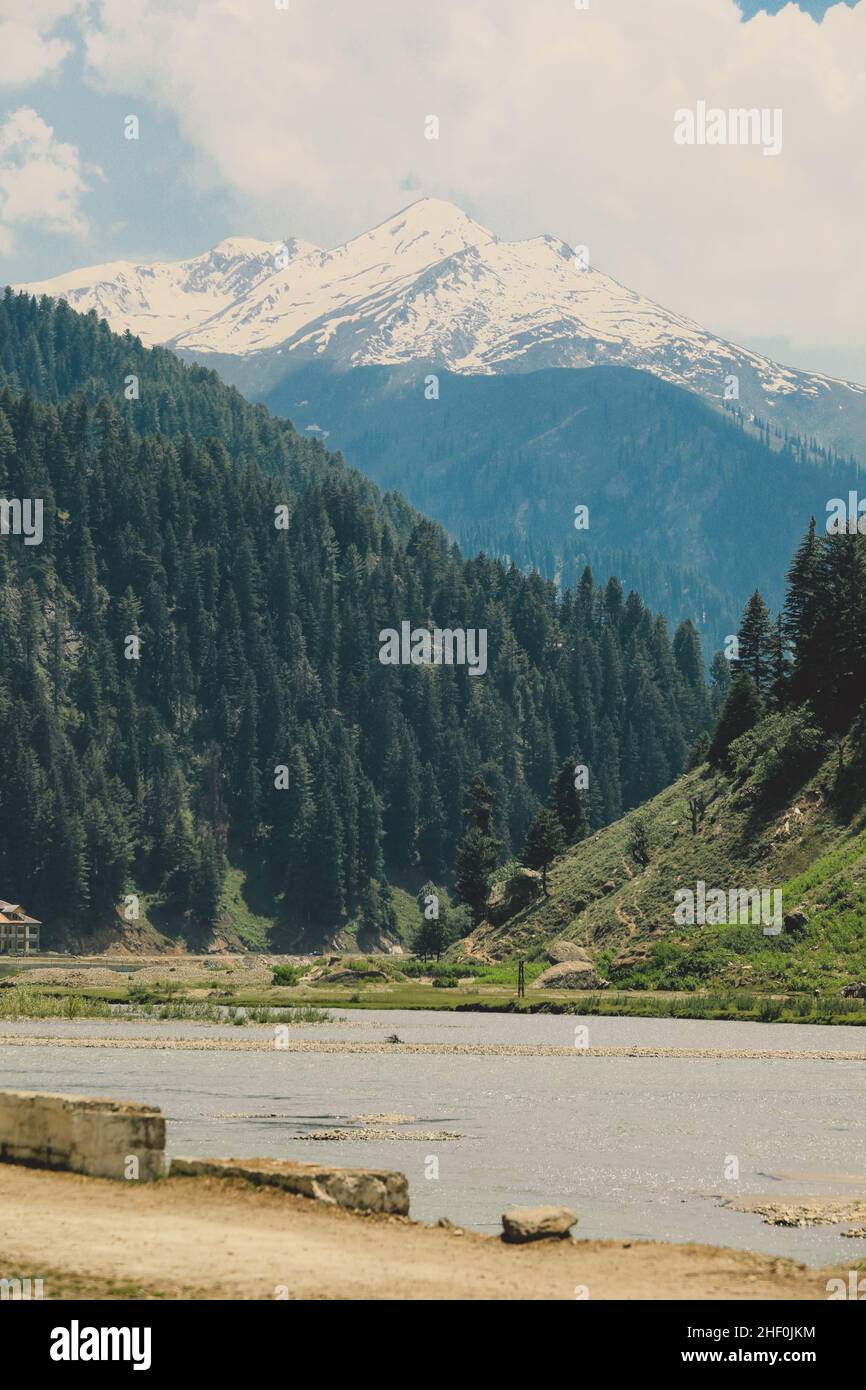 Fast River and Green Mountain Forest under the Blue Sky in Gilgit ...