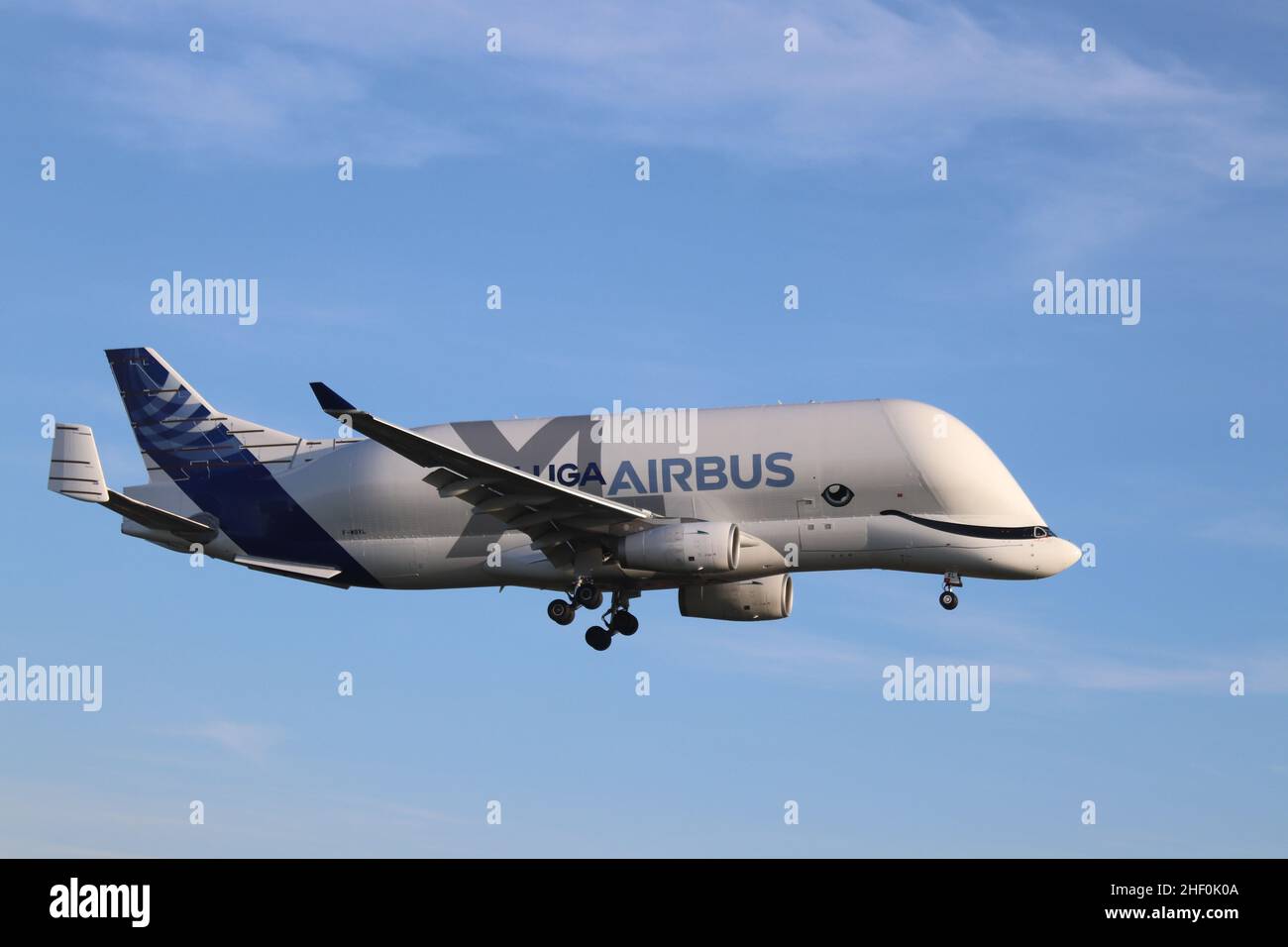 Airbus Beluga XL is a large transport aircraft based on the airbus A300 ...