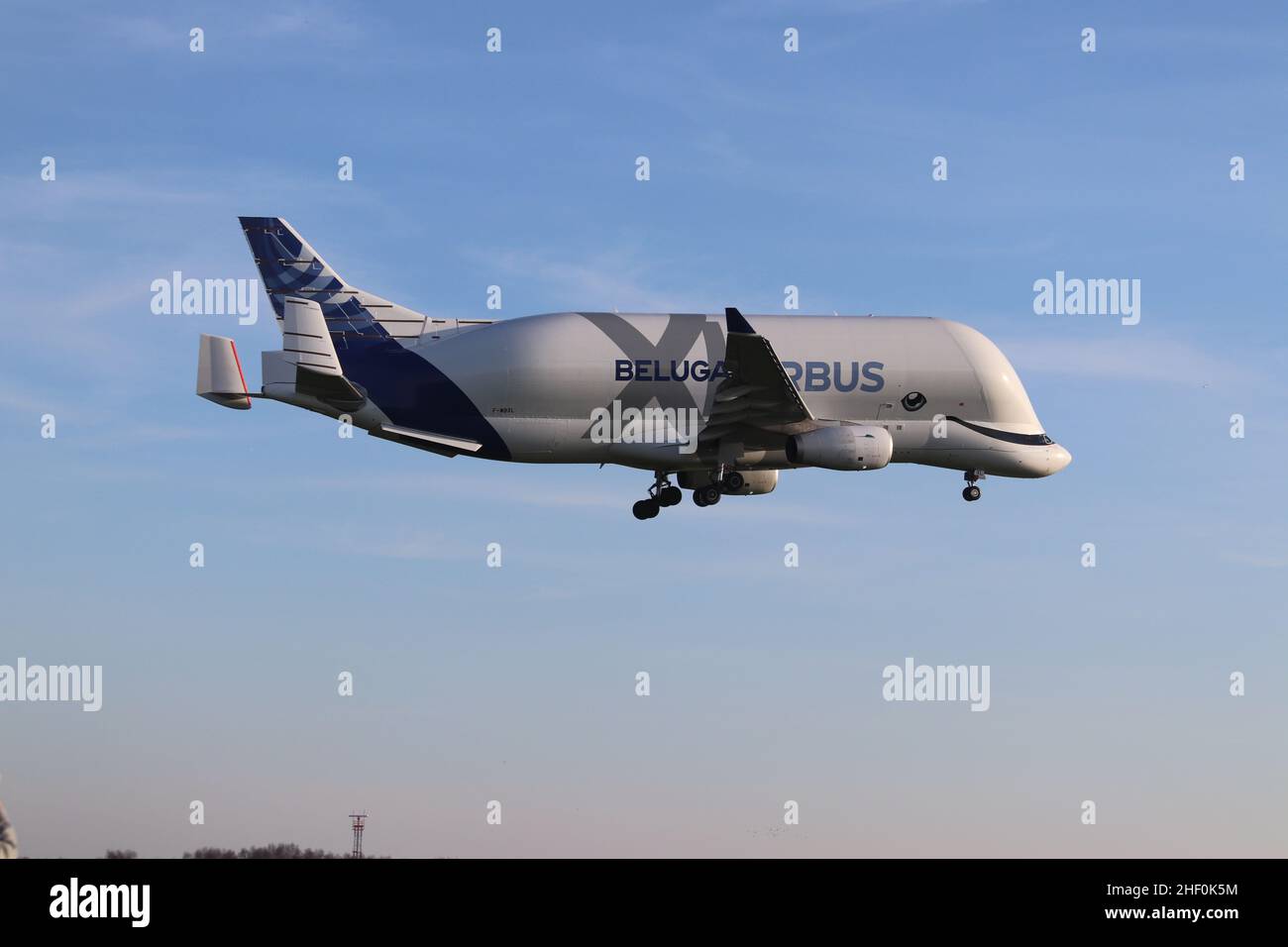 Airbus Beluga XL is a large transport aircraft based on the airbus A300 ...