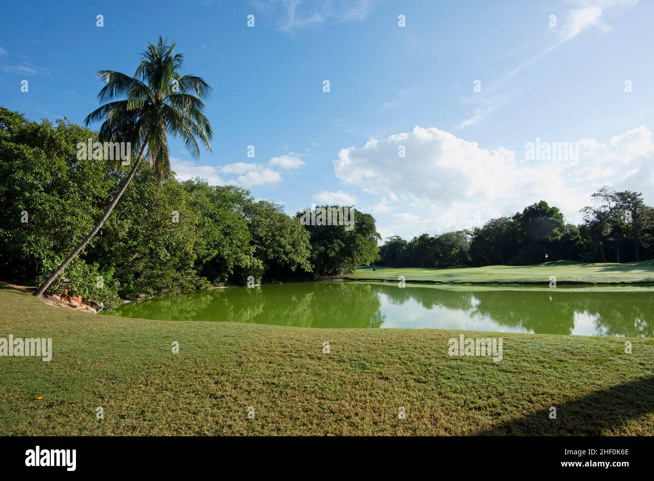 Panoramic view of a golf course with a natural lake and tropical palms ...