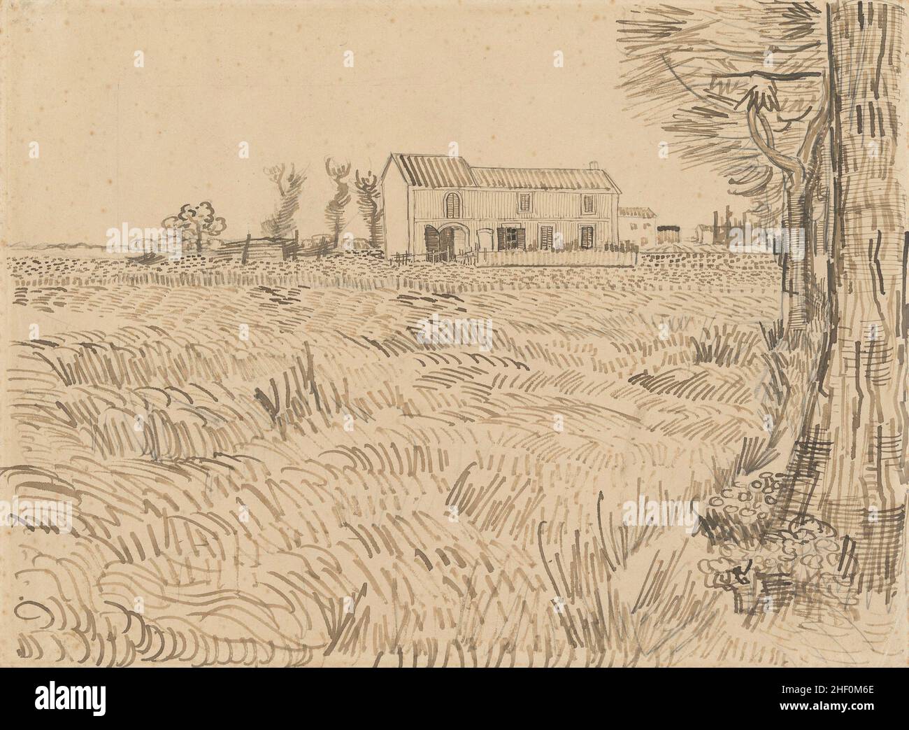 Farmhouse in a wheatfield hi-res stock photography and images - Alamy