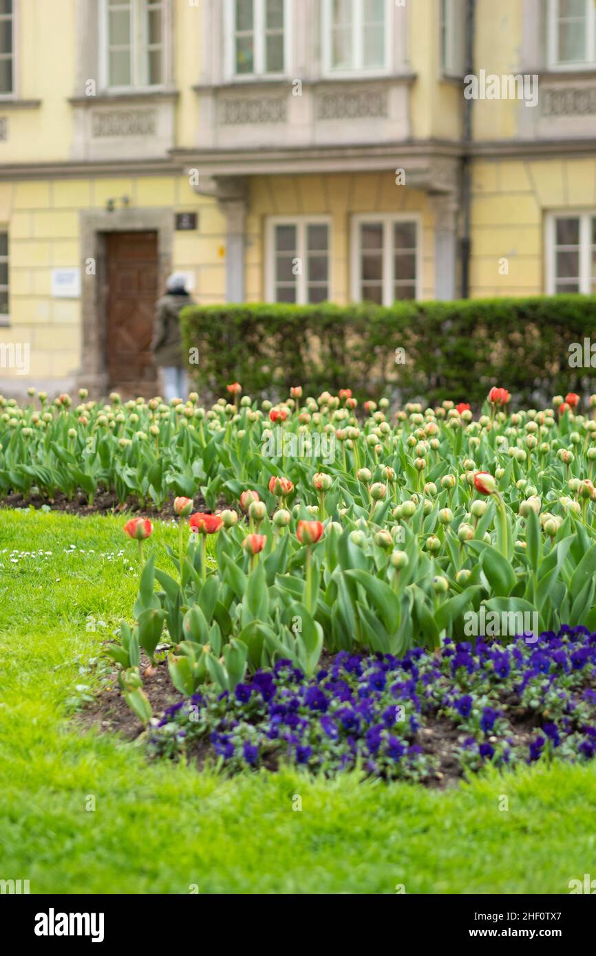 Beauiful garden in the city centre of Innsbruck, Austria, with ...