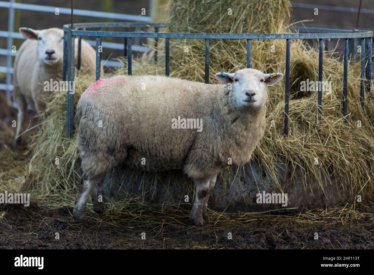 Oxenhope village hi-res stock photography and images - Alamy