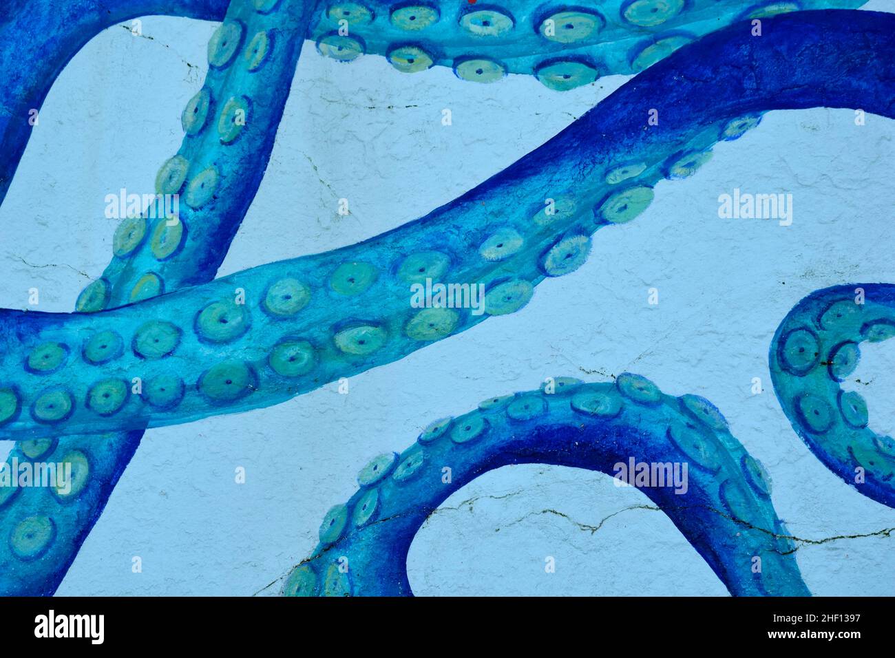 street art of octopus tentacles, sheringham, north norfolk, england ...