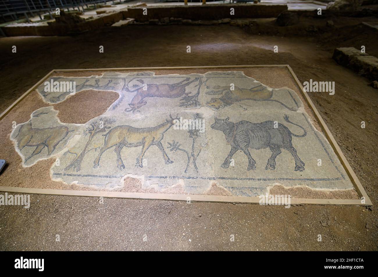 SANLIURFA, TURKEY. A mosaic at the site of Haleplibache in Sanliurfa ...