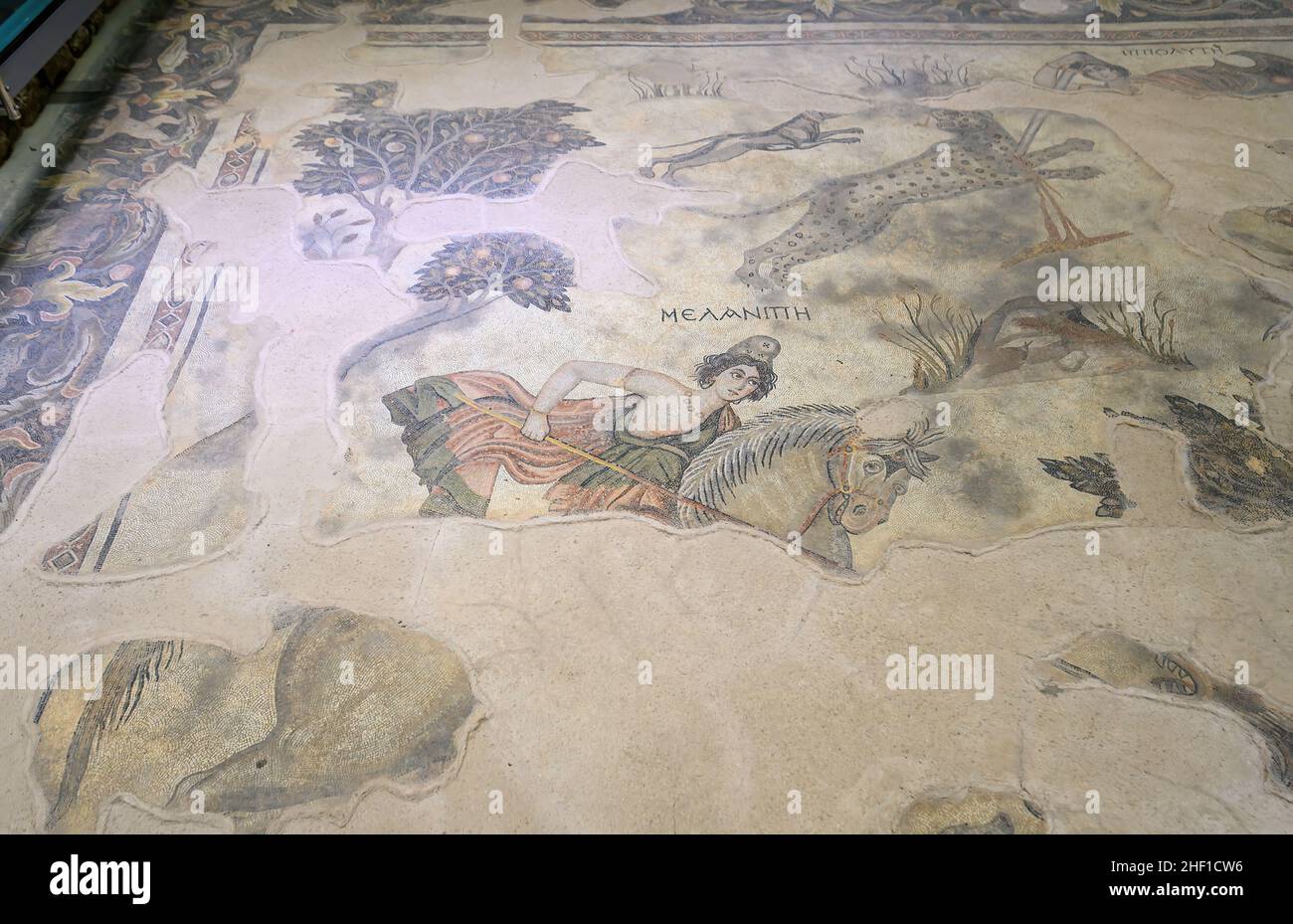 SANLIURFA, TURKEY. A mosaic at the site of Haleplibache in Sanliurfa ...