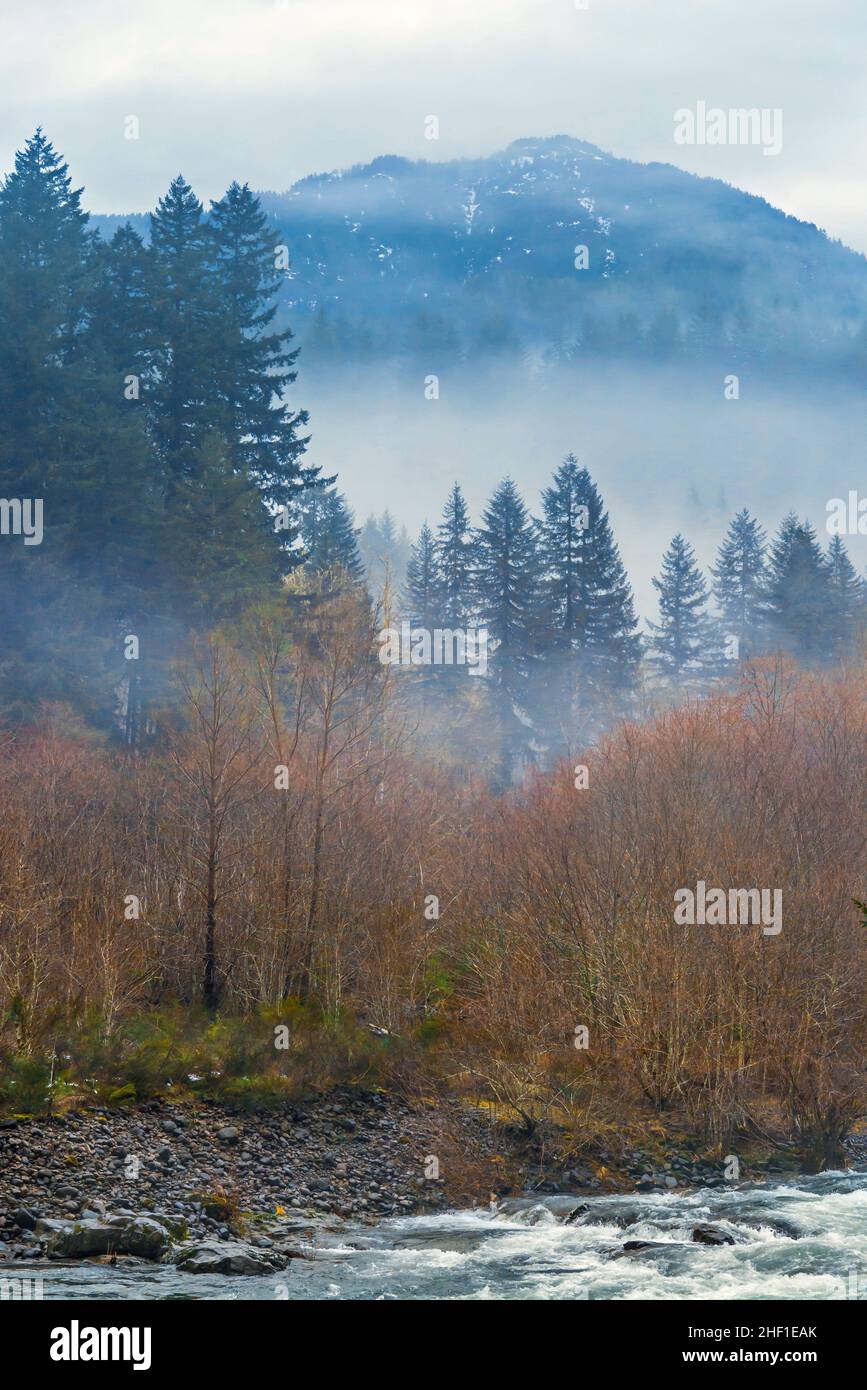 Cold foggy morning in the Pacific Northwestern area of the United ...