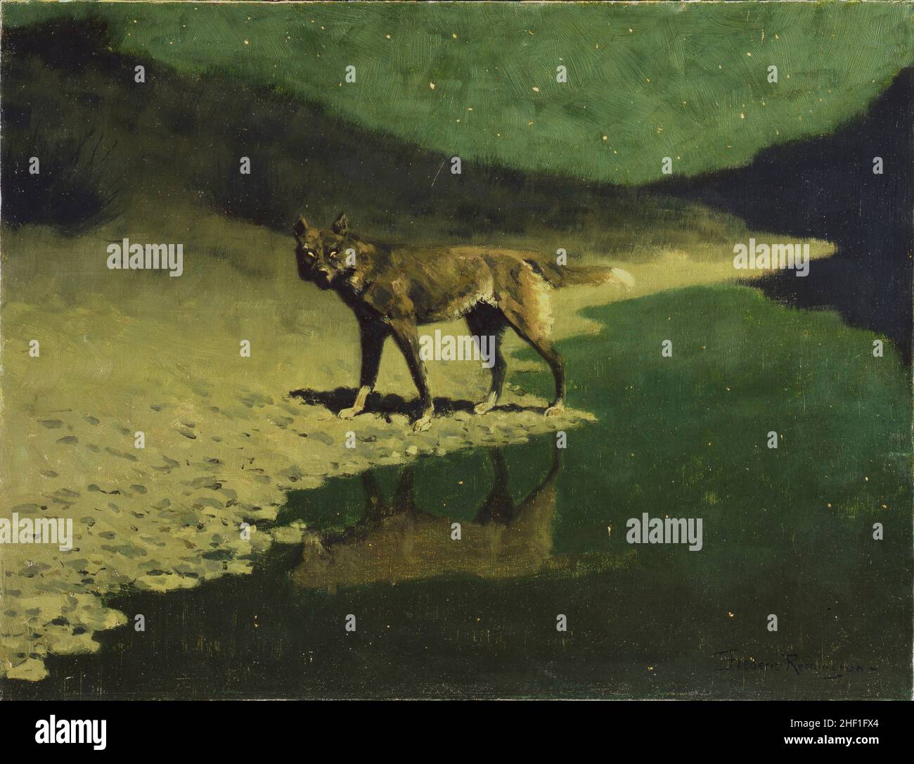 Wolf tone painting hi-res stock photography and images - Alamy