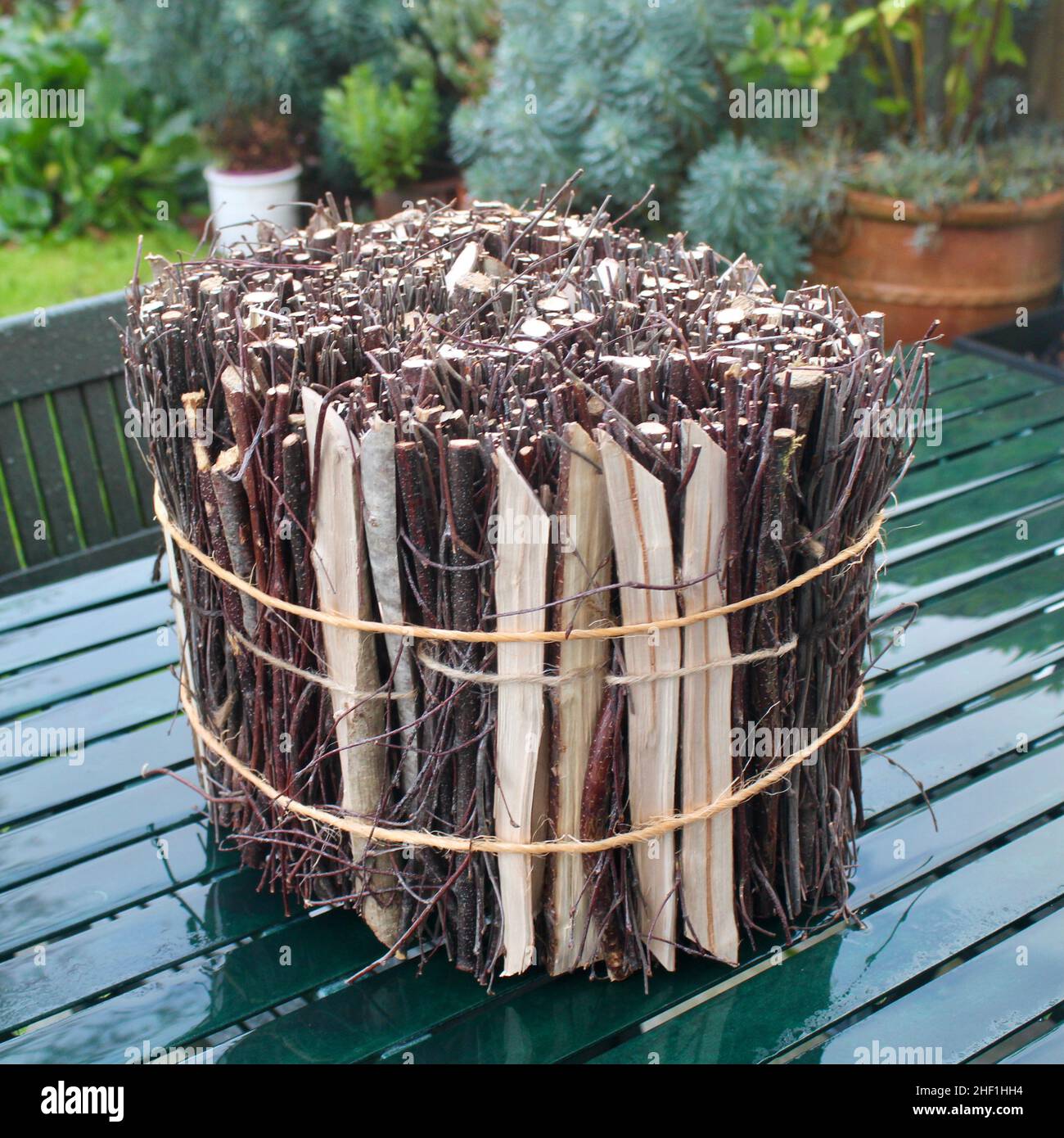 West Sussex Pimp Stock Photo - Alamy