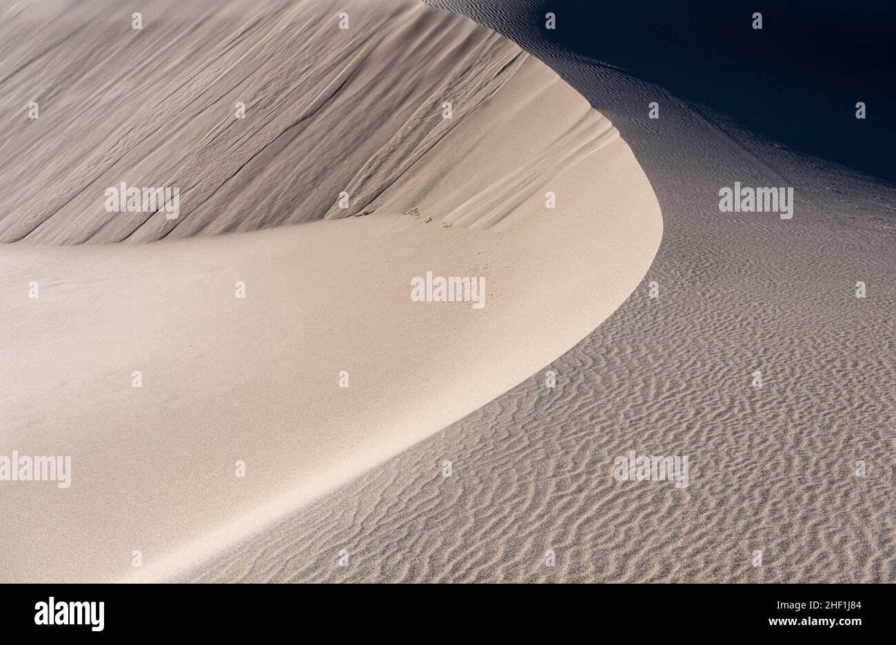 Sand dunes with ripples from wind at Great Sand Dunes National Park and ...