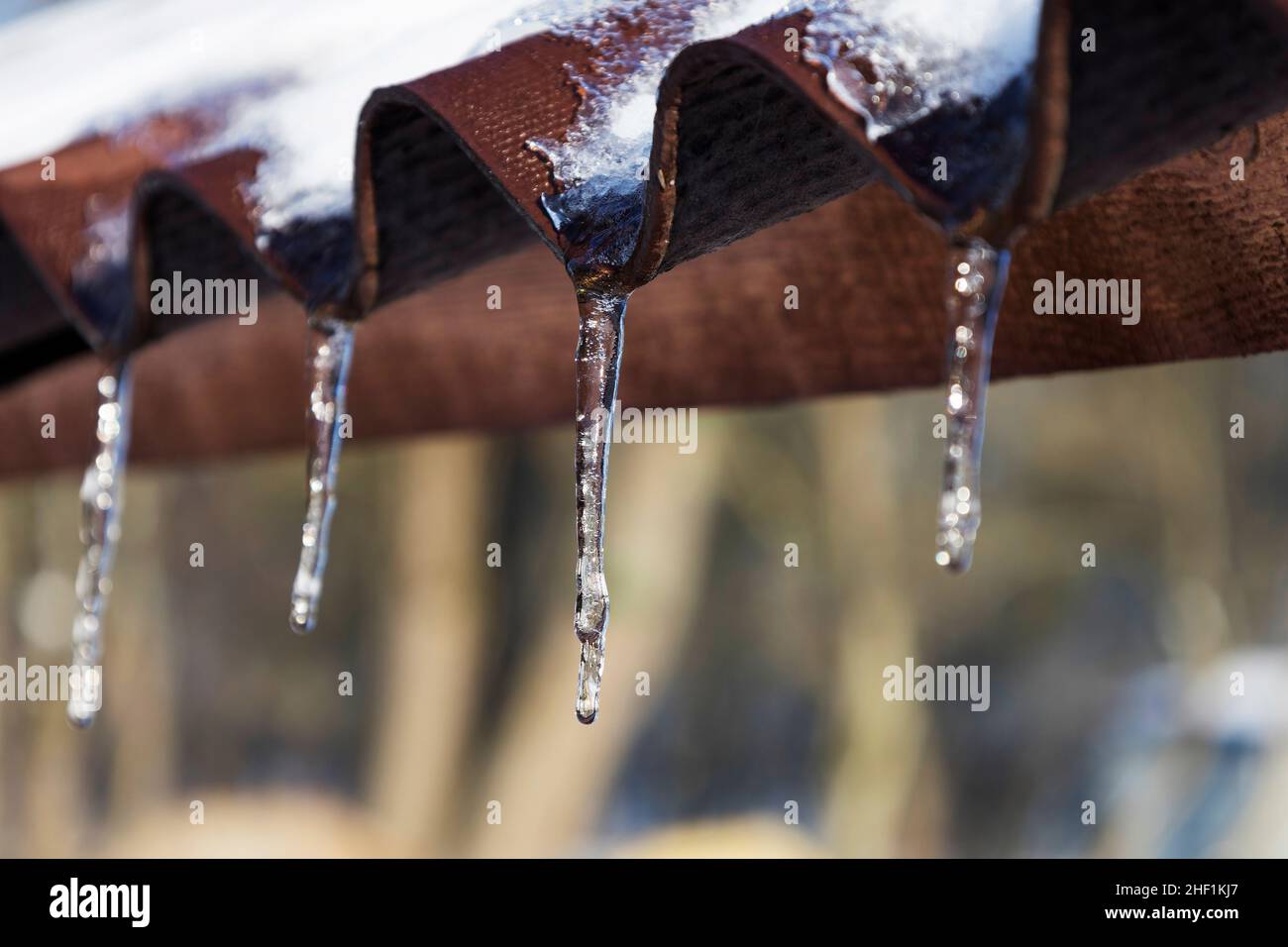 beautiful icicles shine in the sun. spring landscape with icicles ...