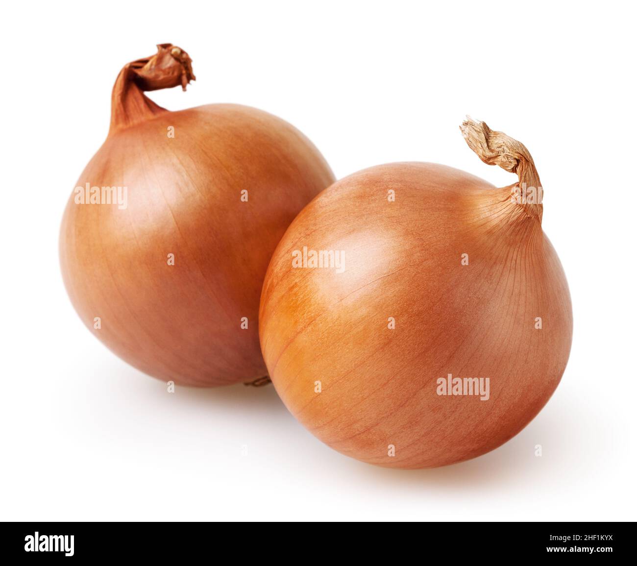 Two onion bulbs isolated on white background with clipping path Stock ...