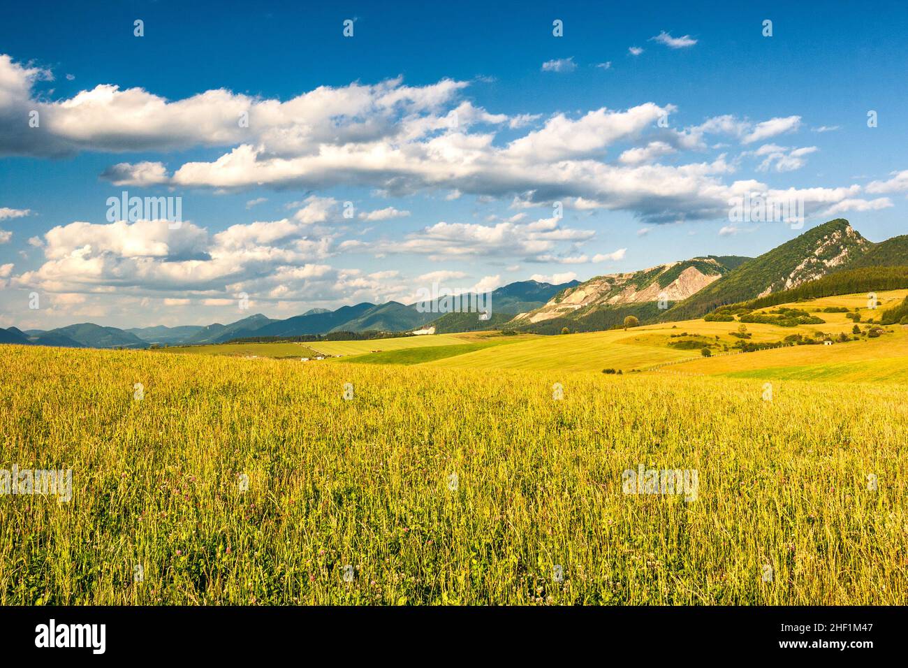 Fields and meadows in rural landscape with mountains at spring period ...